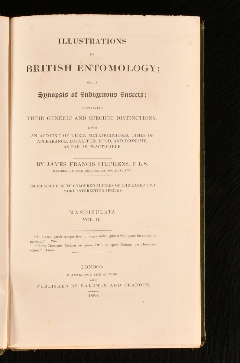 Illustrations of British Entomology; or, a Synopsis of Indigenous ...