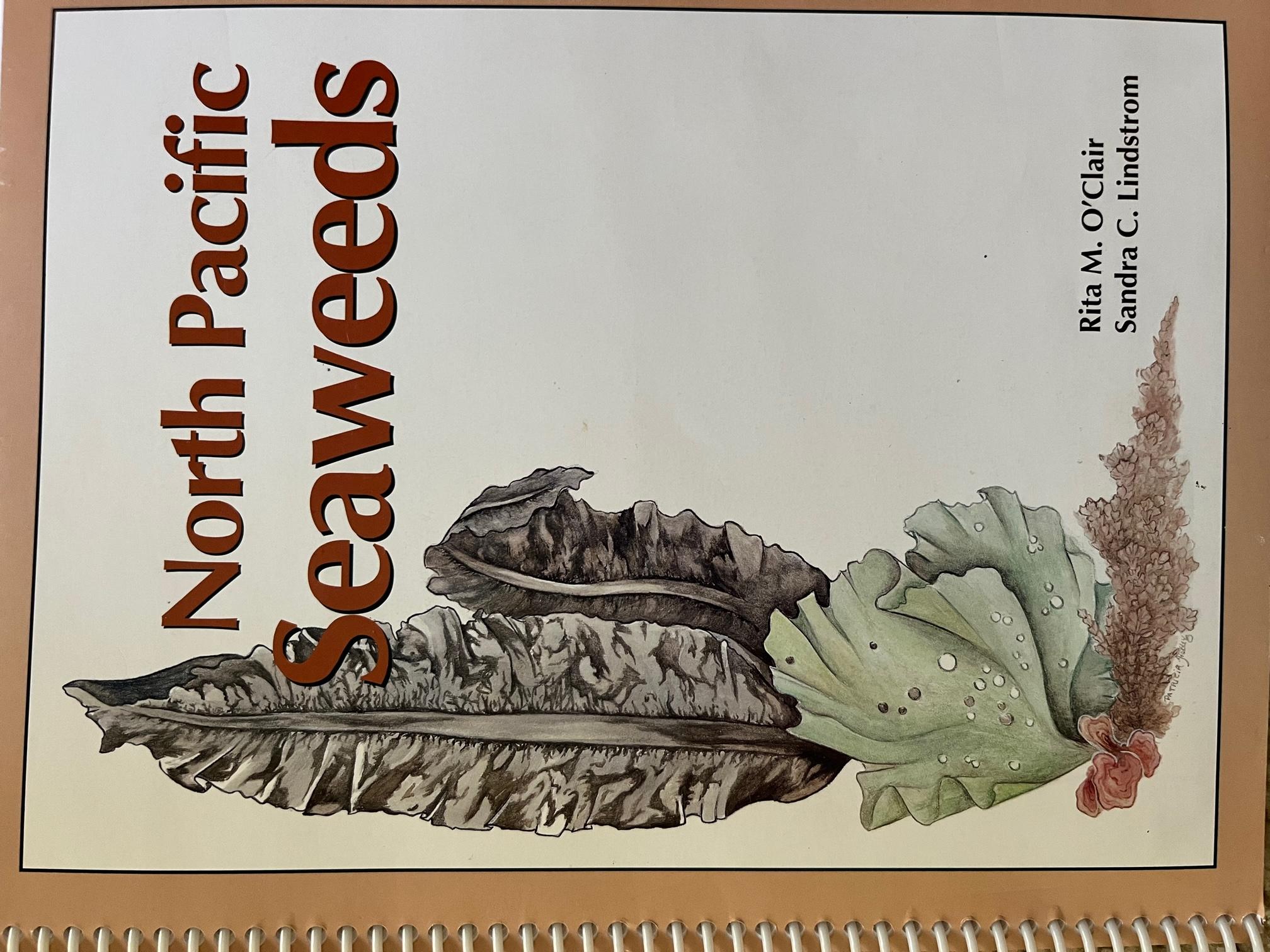 North Pacific Seaweeds by O'Clair, Rita nd Sandra Lindstrom: Very Good ...