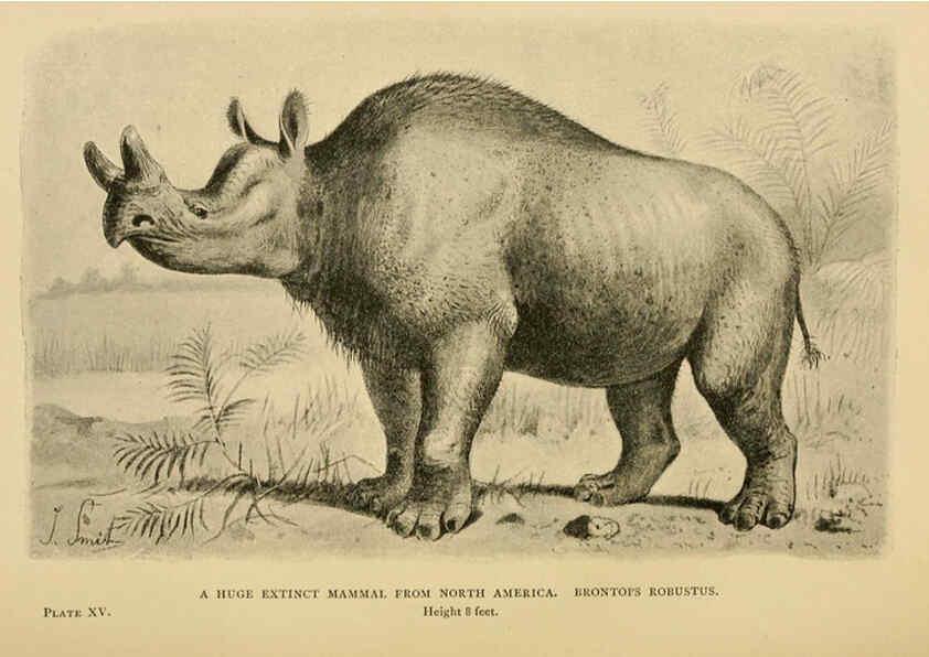 Reproducción/Reproduction 5977816488: Extinct monsters London :Chapman ...