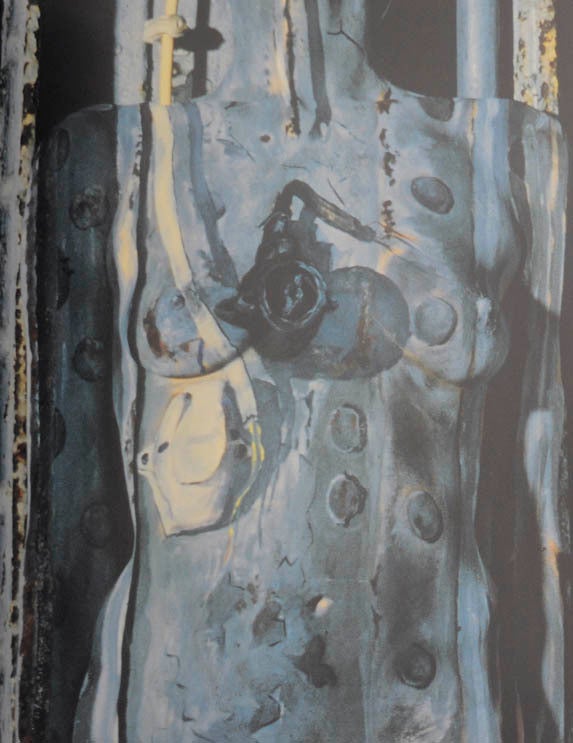 Veruschka Trans-Figurations by LEHNDORFF, Vera and Holger Trulzsch ...