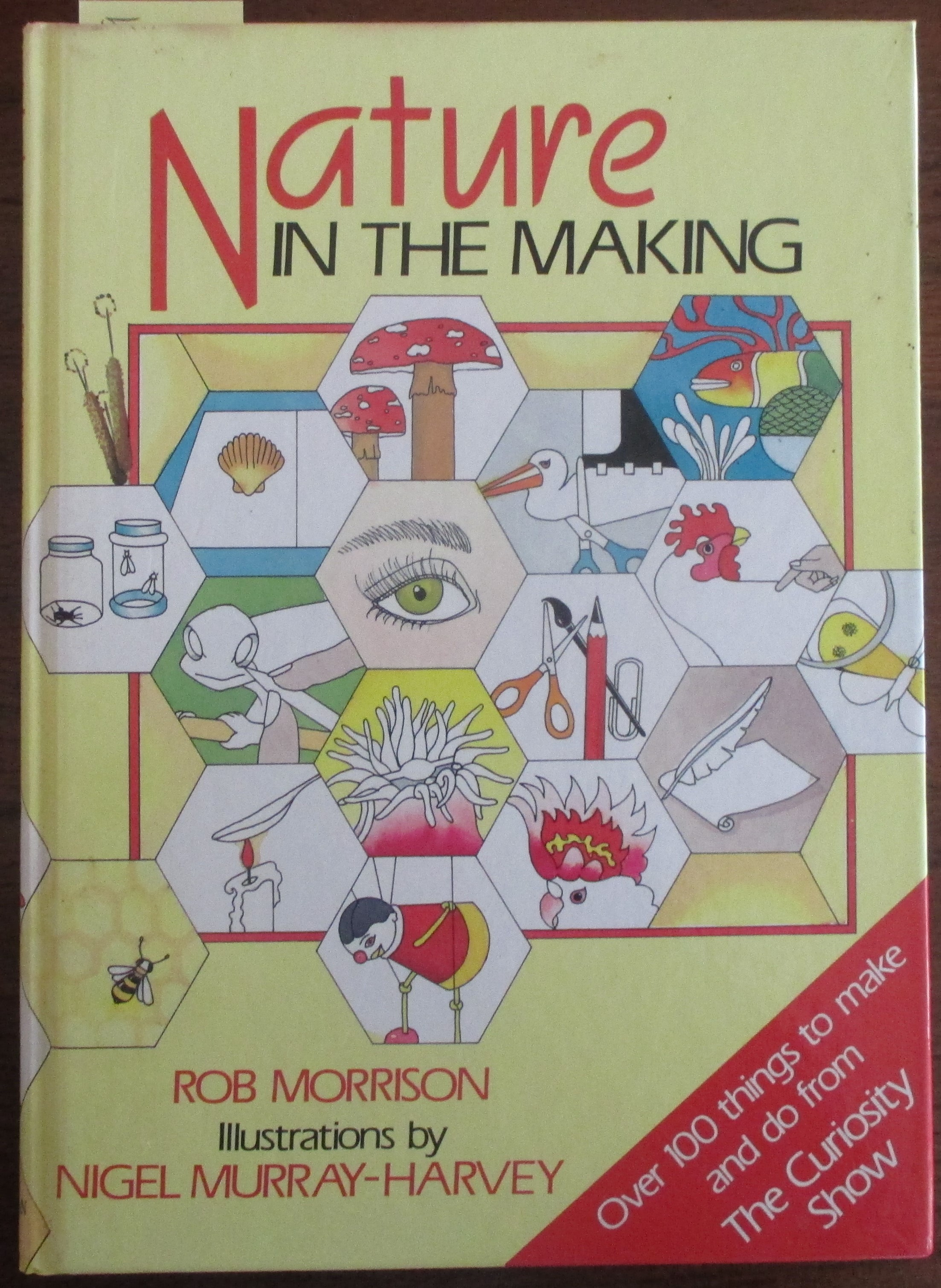 Nature in the Making: Over 100 Things to Make and do from The Curiosity ...