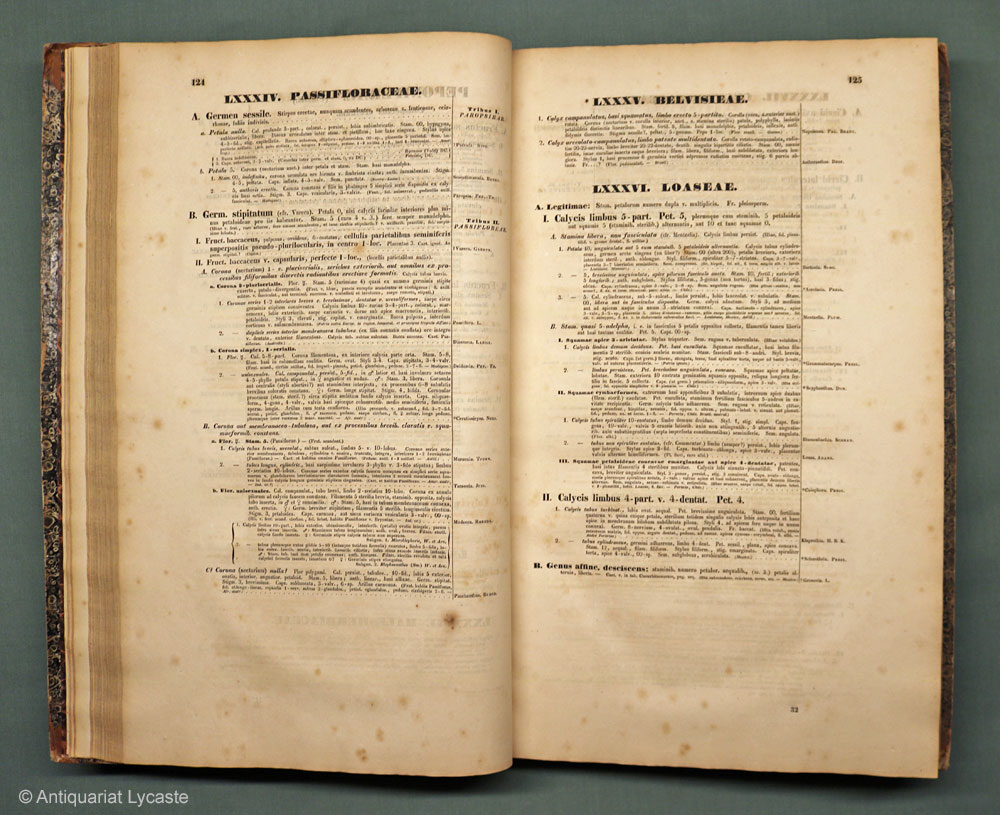 Plantarum Vascularium Genera Secundum Ordines Naturales Digesta ...