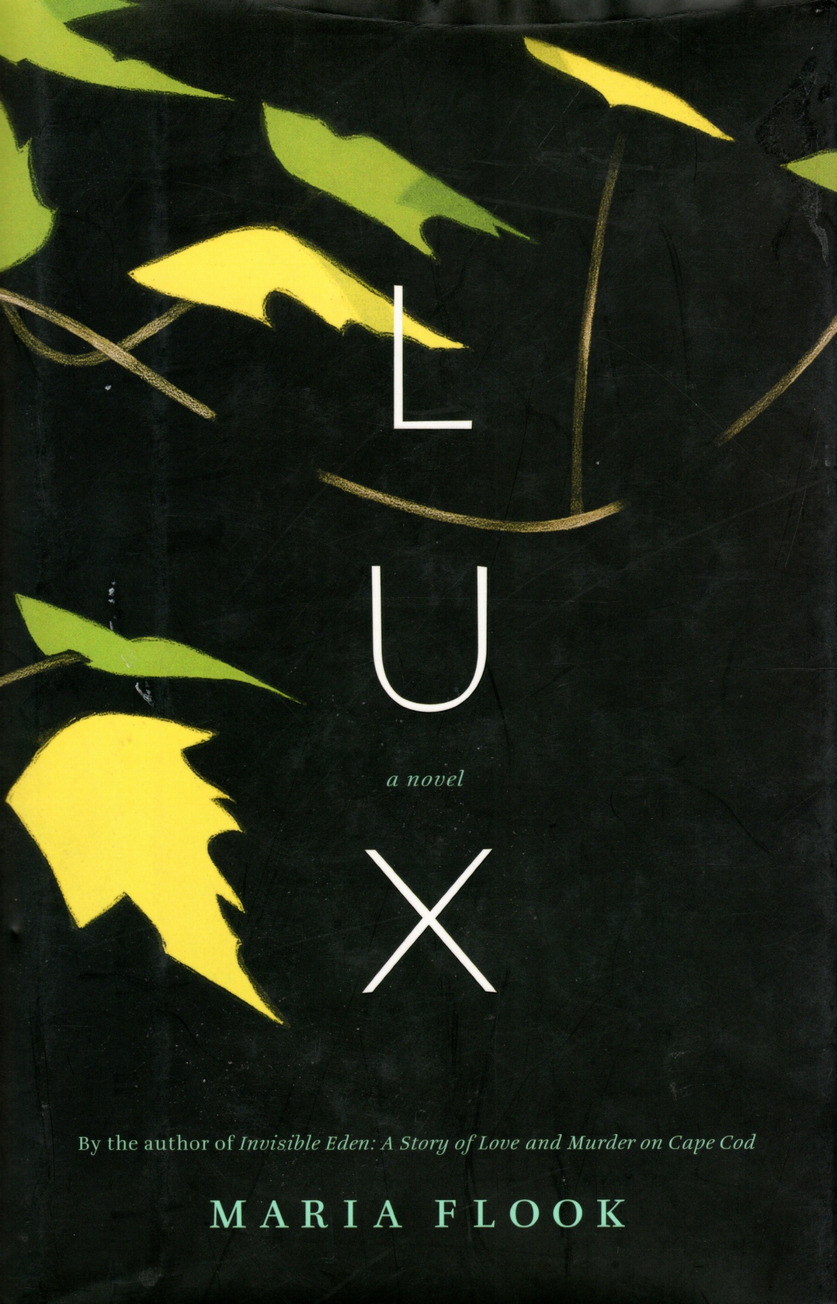 Lux by Flook, Maria: Very Good Hardcover (2004) First Edition; 1st ...