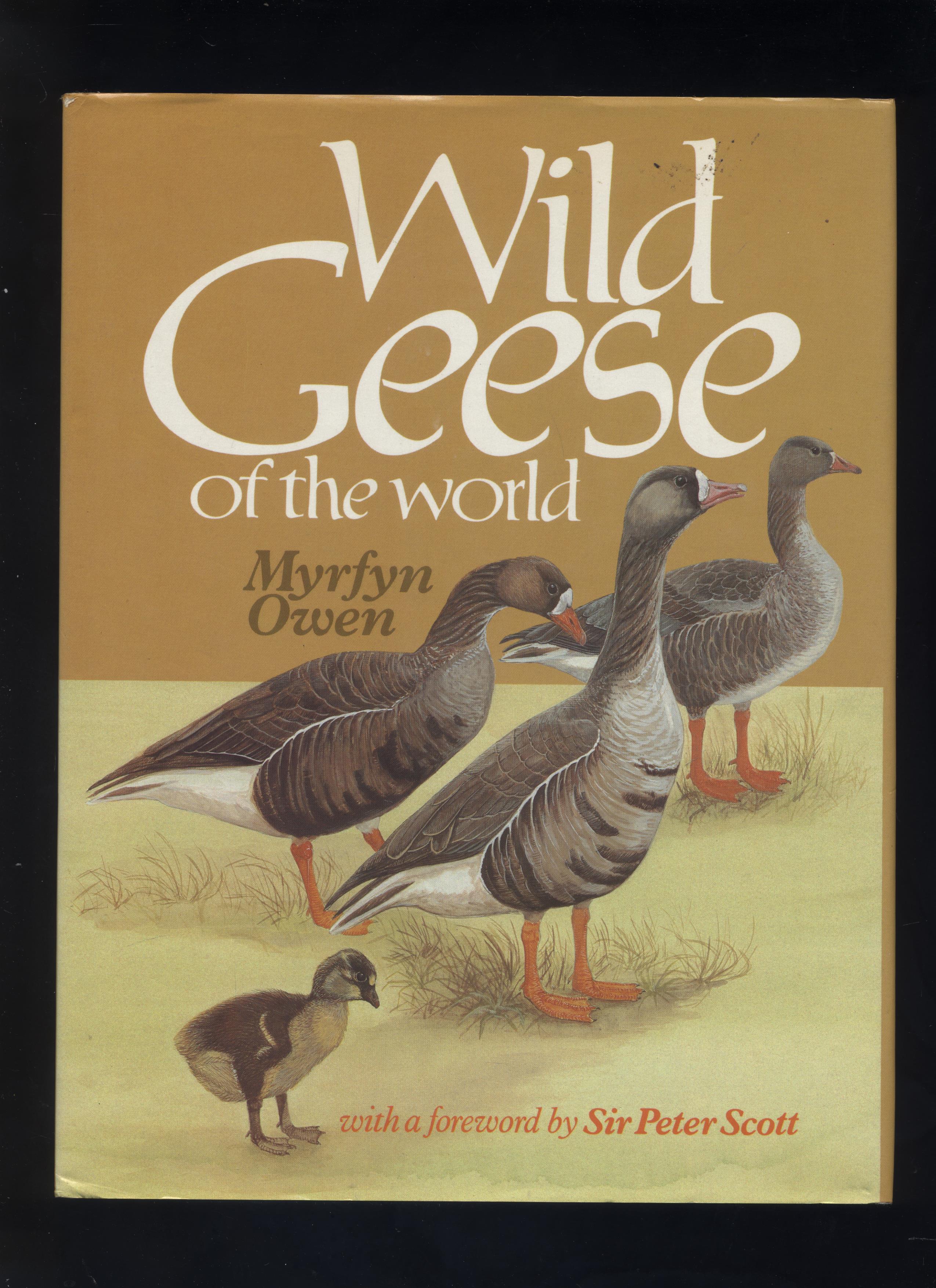 Wild Geese of the World: their life history and ecology by Owen, Myrfyn ...