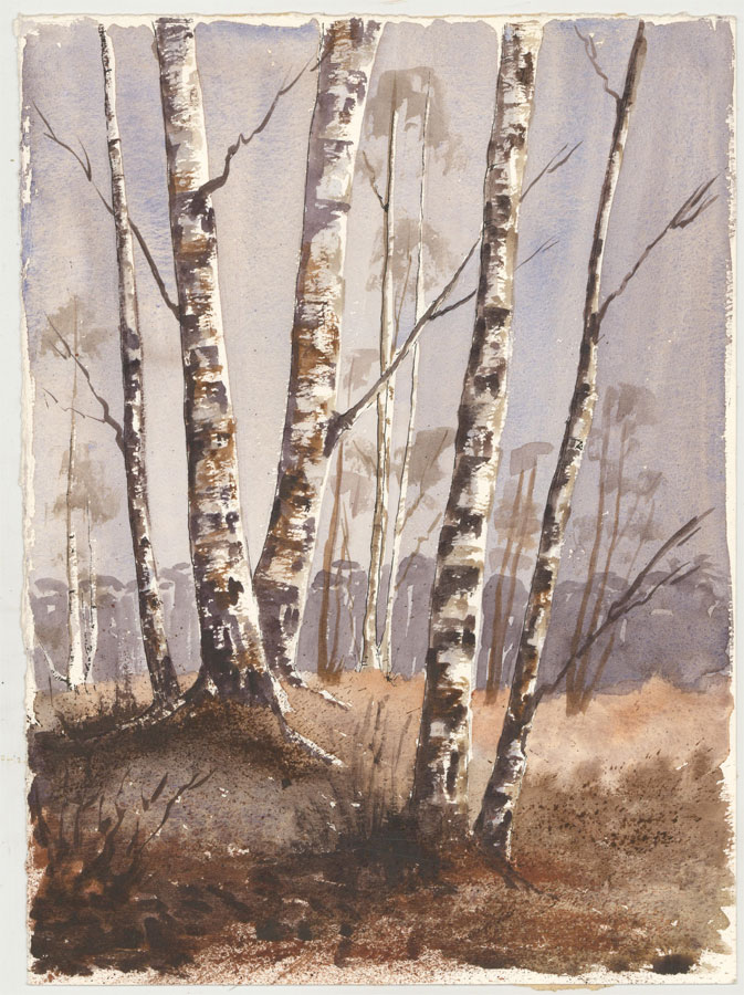 Double Sided - Contemporary Gouache, Birch Trees by Double Sided: Art ...