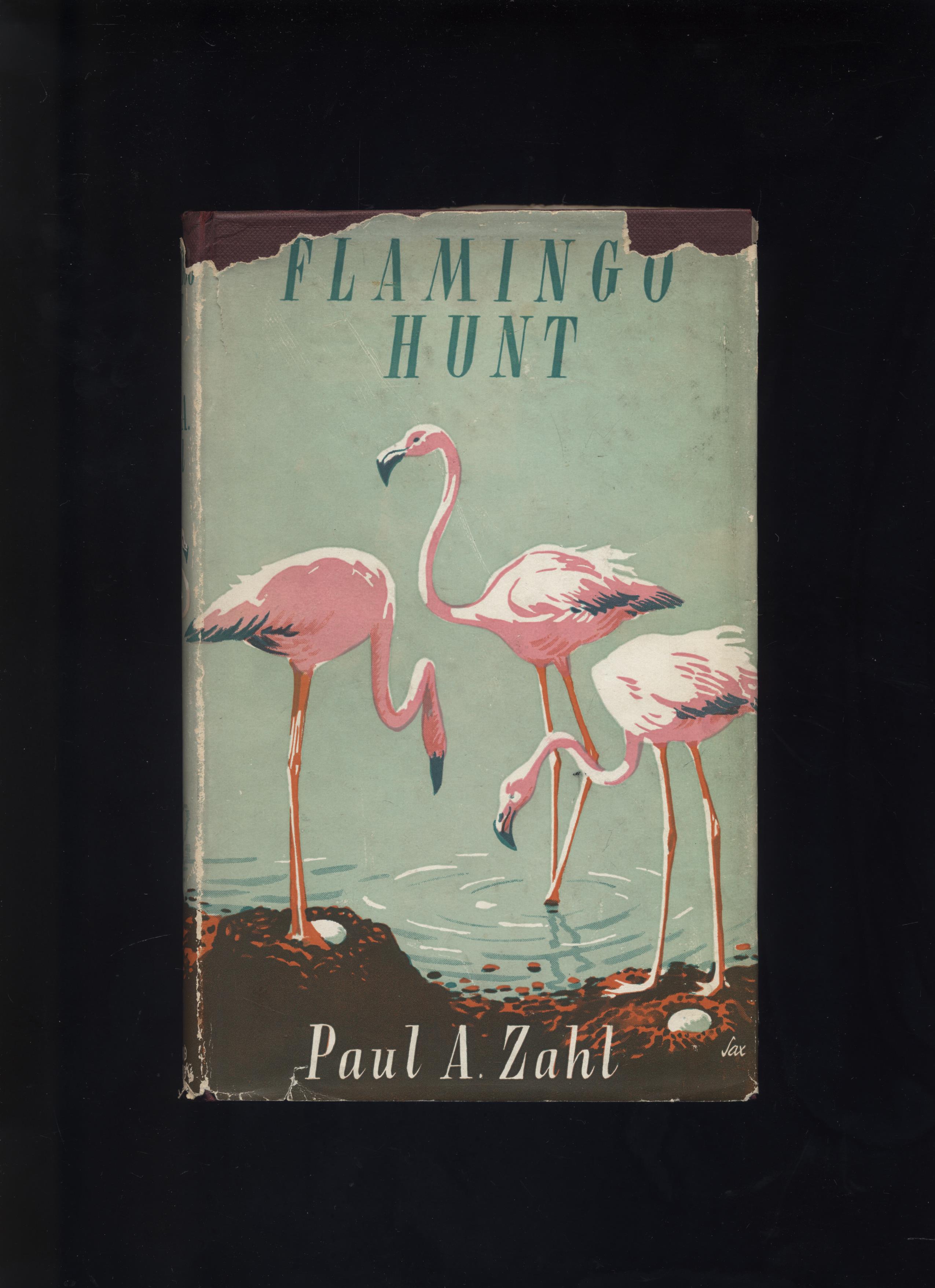 Flamingo Hunt by Zahl, Paul A: Very Good Hardcover (1953) 1st Edition ...
