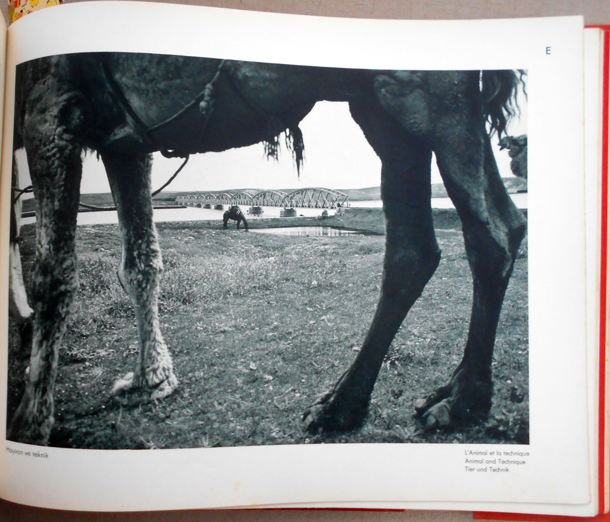 Fotografla Türkiye. La Turquie en image. Turkey in pictures. Die Türkei ...