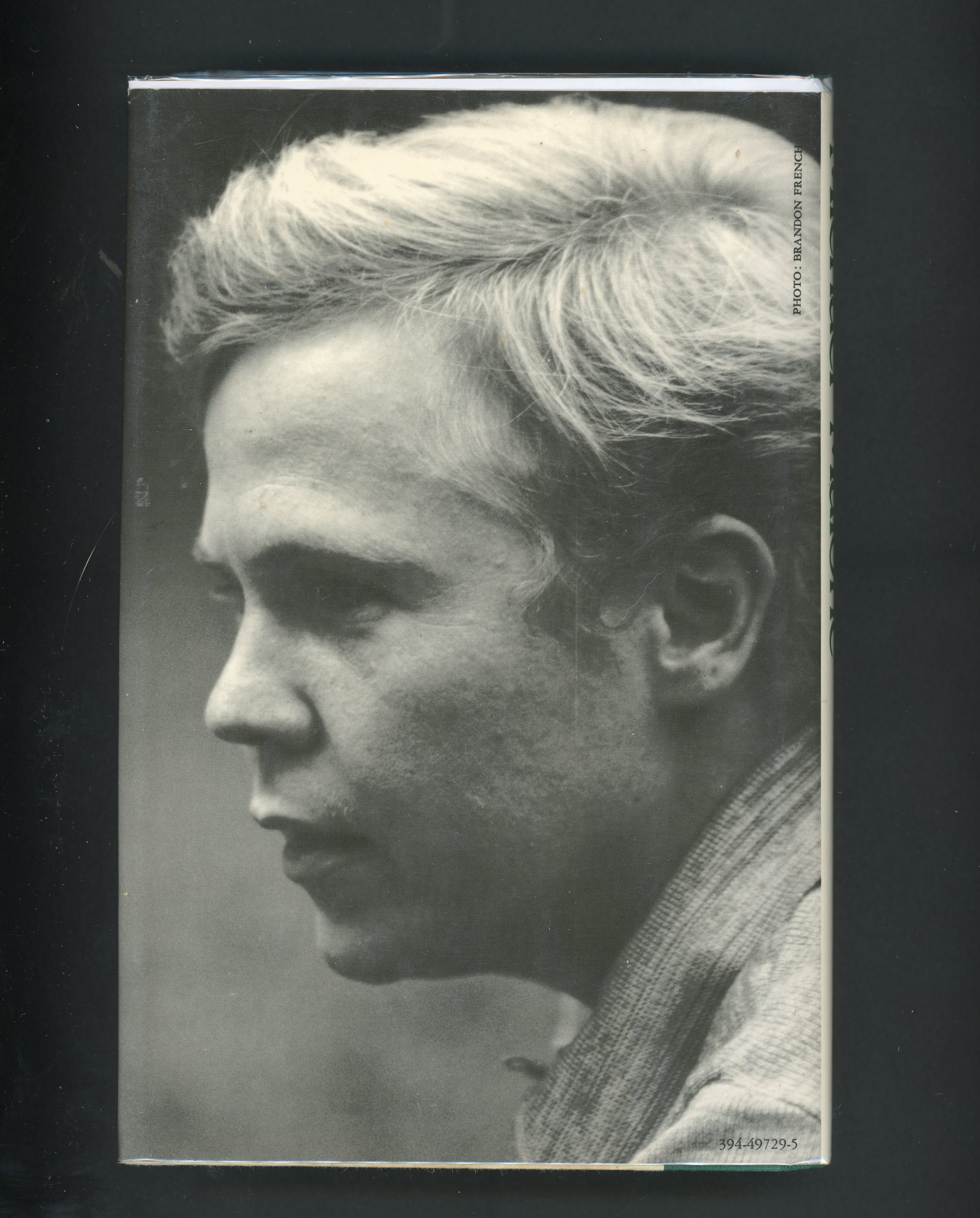 The Delectable Mountains by Malone, Michael: Near Fine Hardcover (1976 ...