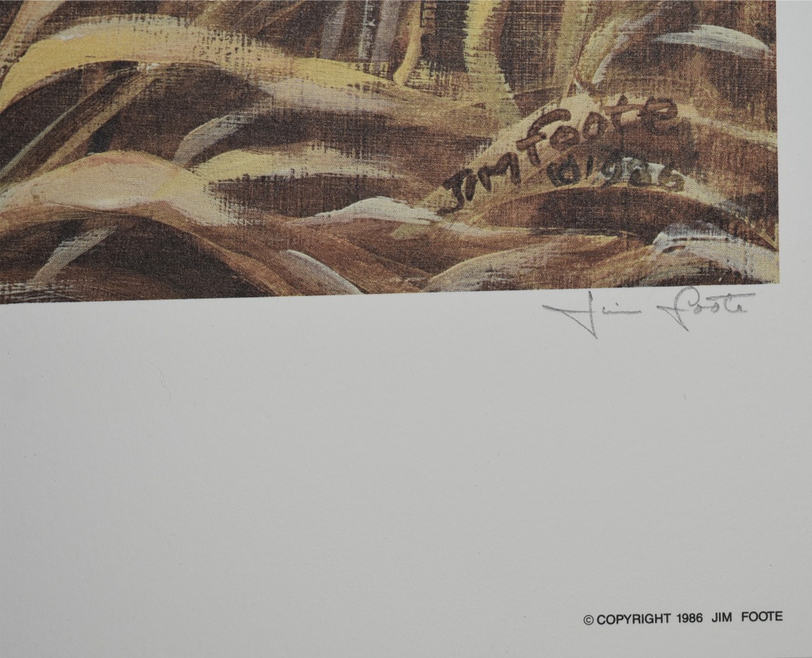 Vintage Jim Foote 1986 Signed & Numbered Waterfowl Art Print: Art ...
