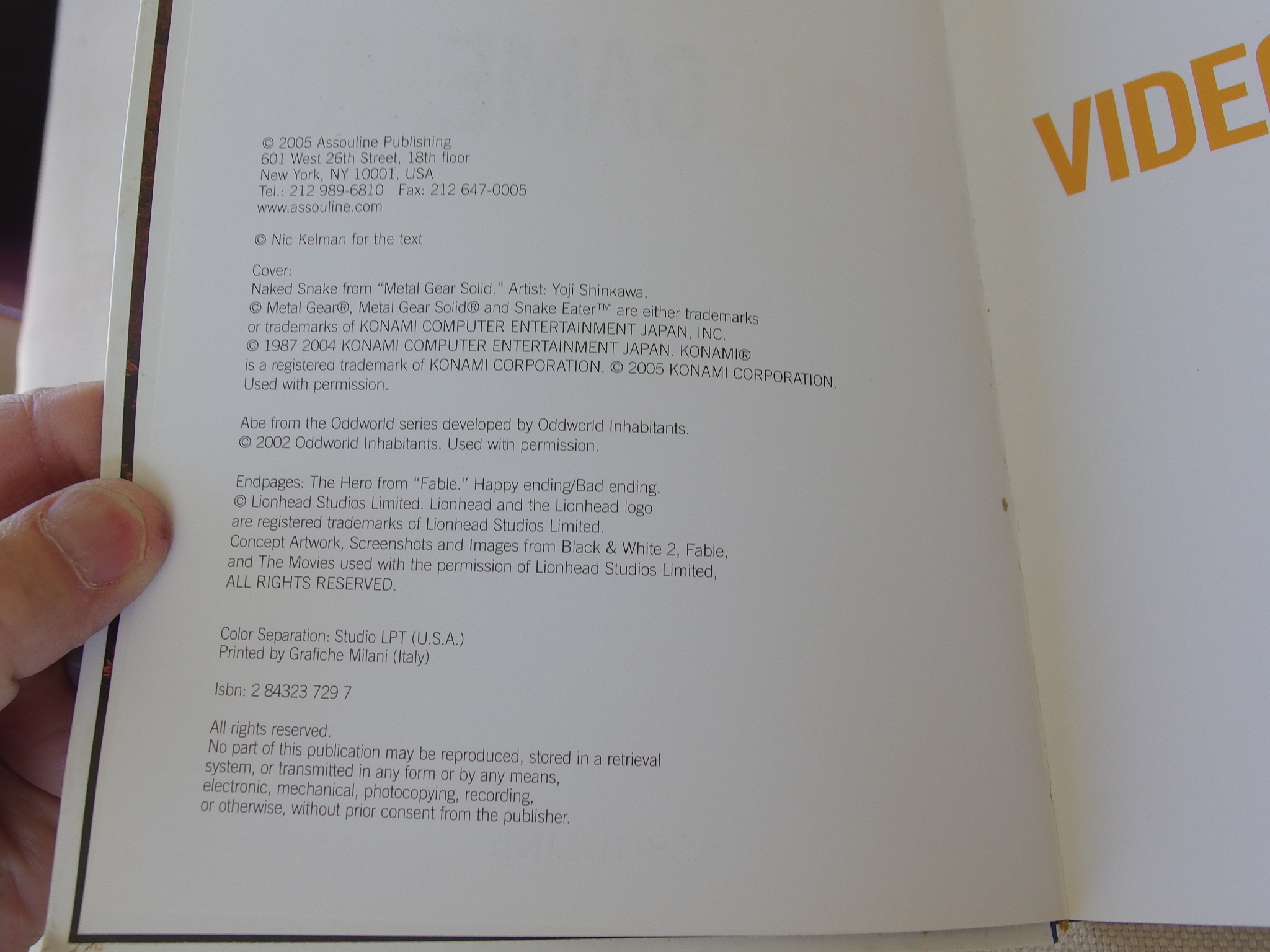 Video Game Art by Nic Kelman: Fine Hardcover (2006) 1st Edition ...