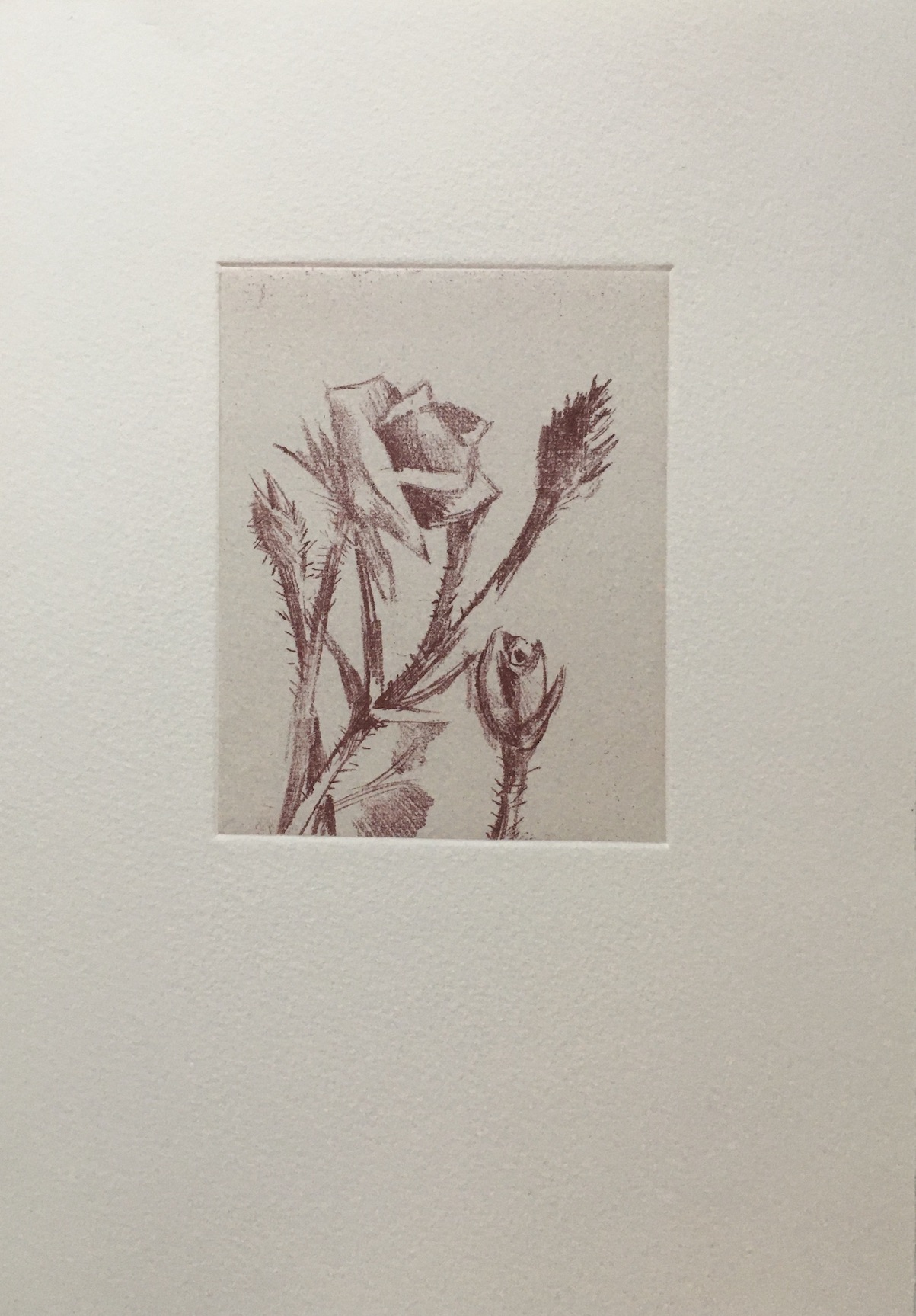 Roses * by [RILKE Rainer Maria] PALÉZIEUX Gérard de : | OH 7e CIEL