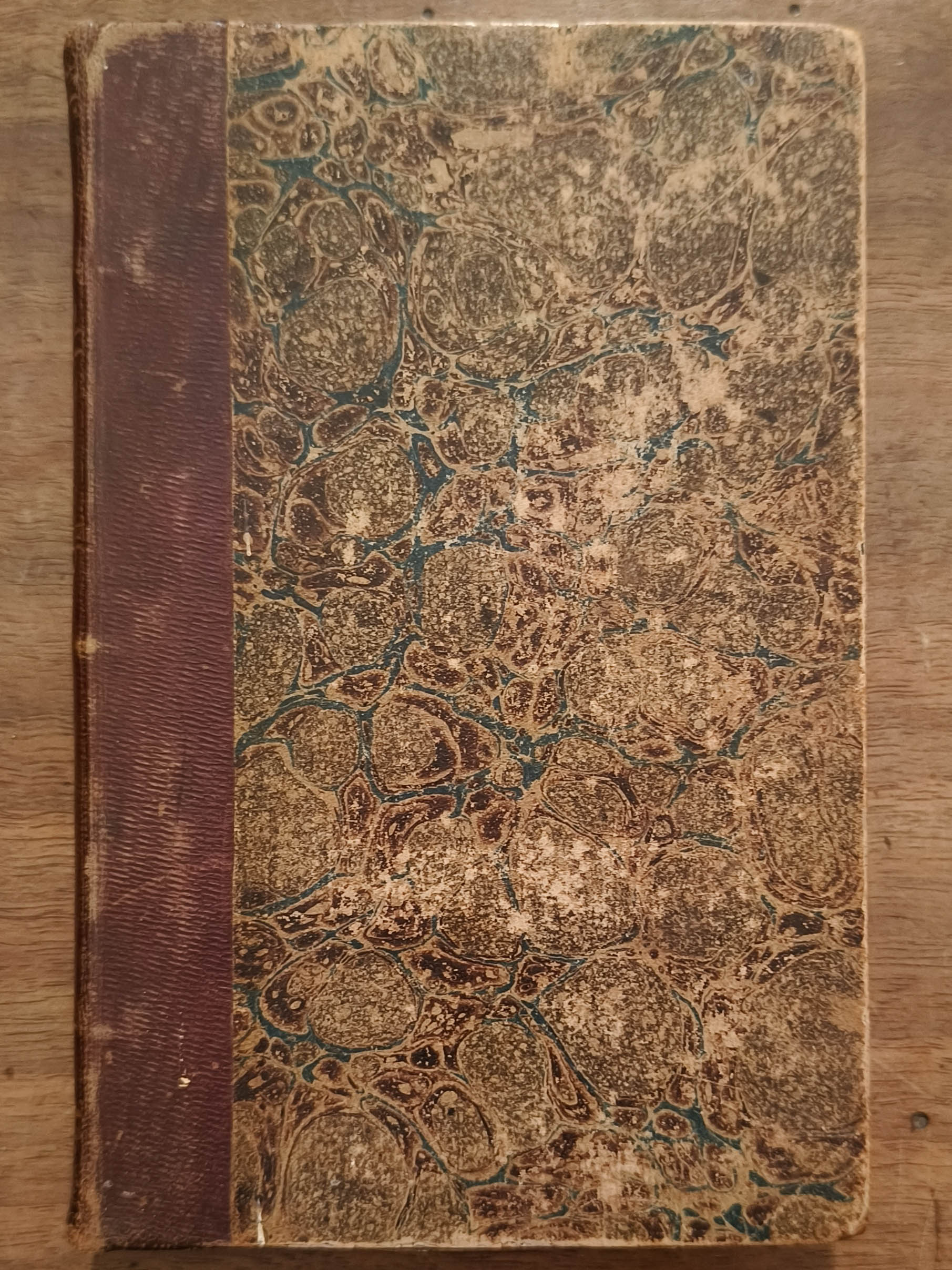 Niccolò de' Lapi. Ovvero I Palleschi e i Piagnoni by Massimo D'Azeglio ...