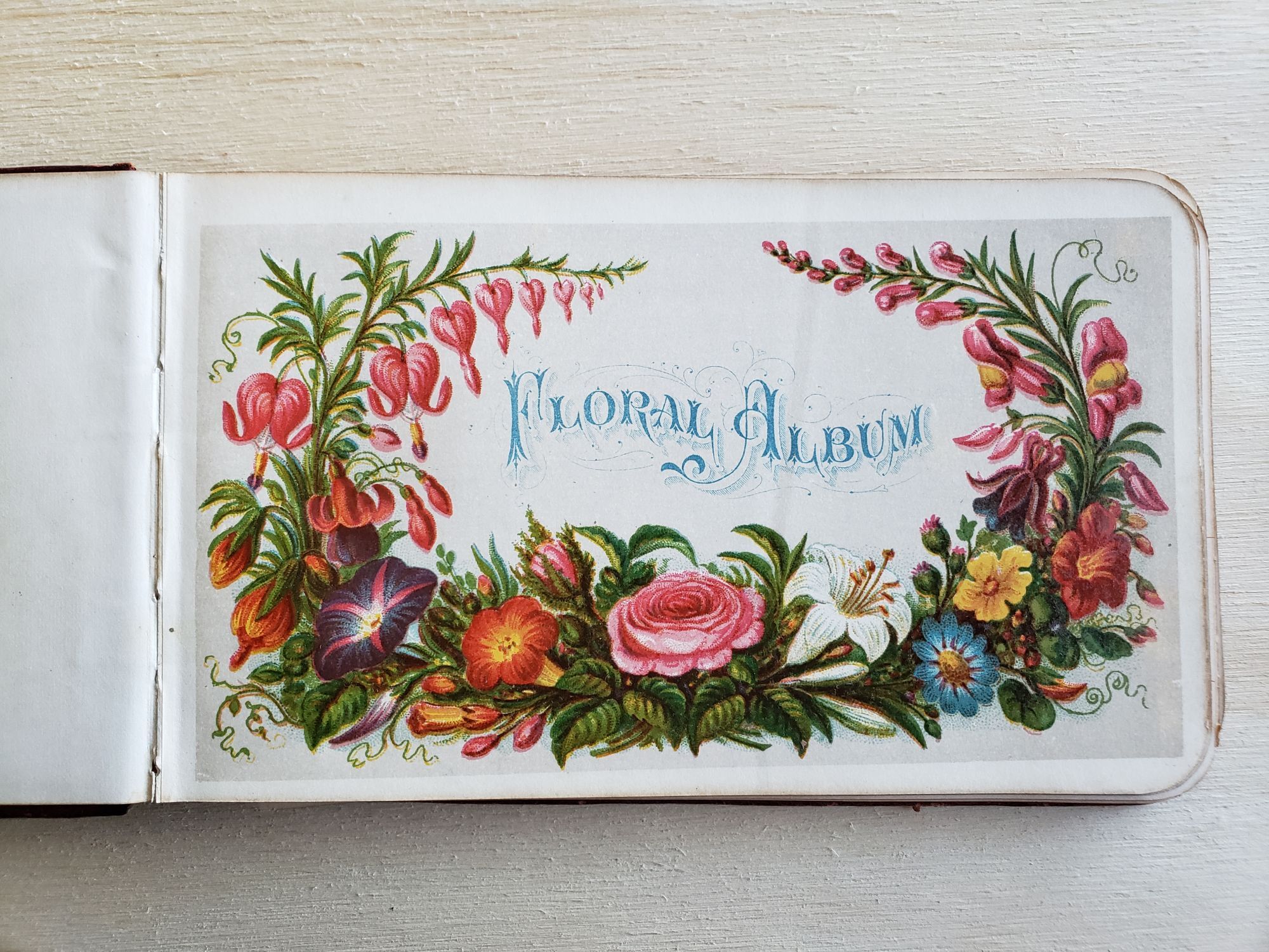 Handwritten Album from 19th Century Female Student at Iowa College ...