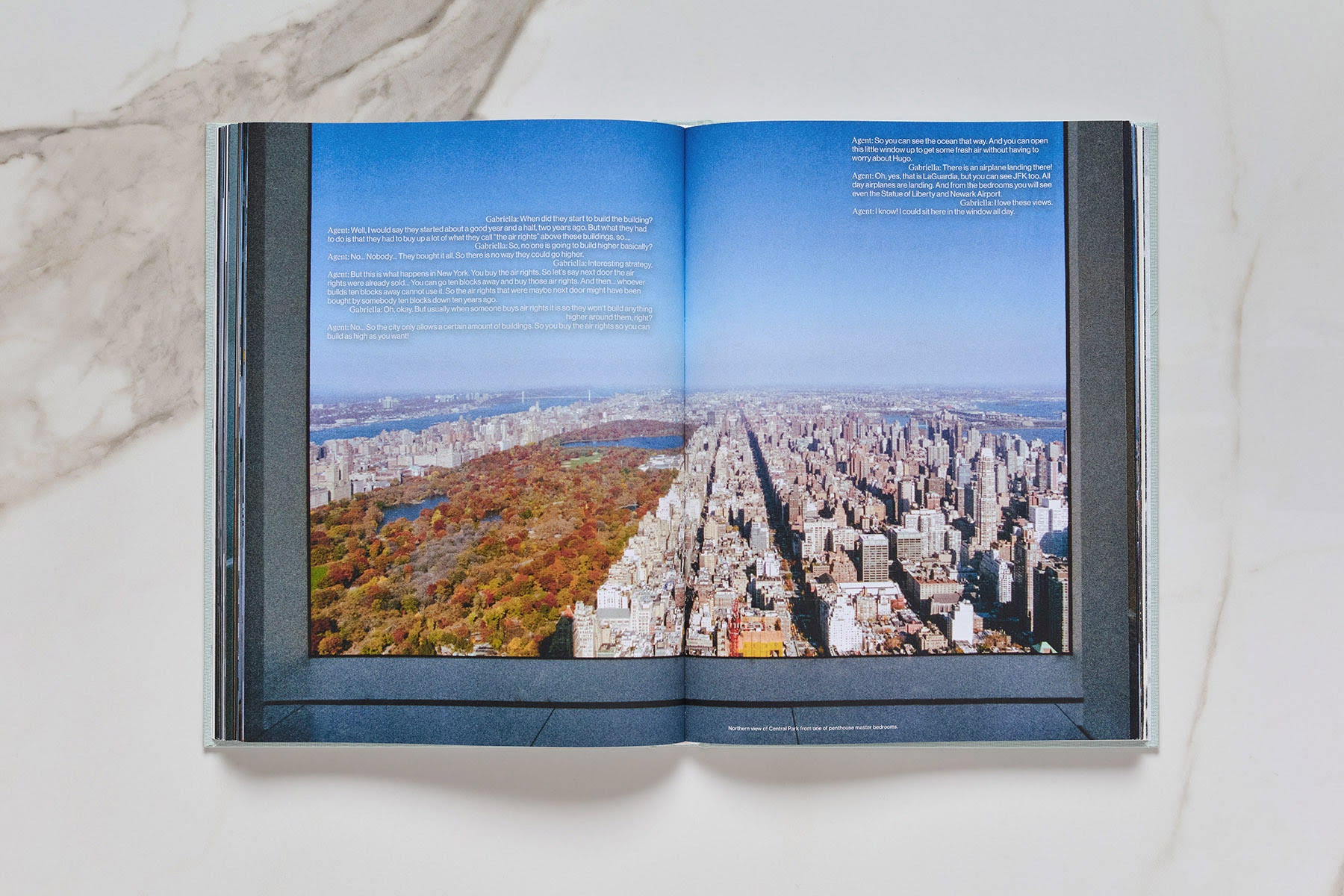 Private Views A High-Rise Panorama of Manhattan by Andi Schmied: (2021 ...
