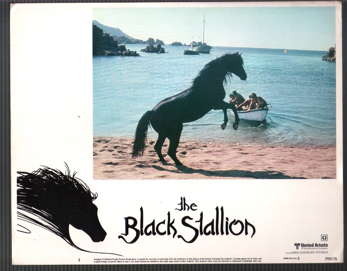 Black Stallion Movie Mickey Rooney