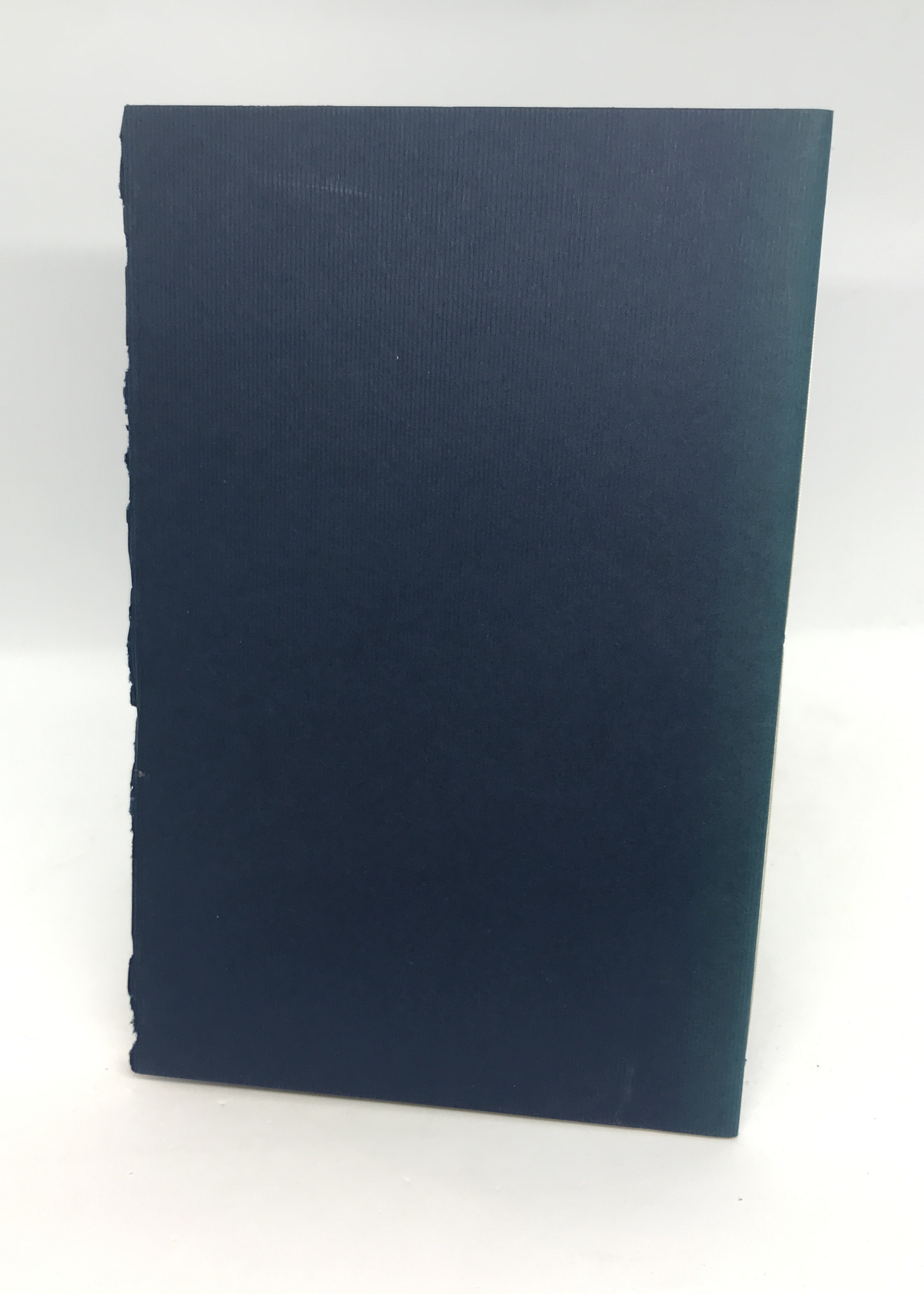 Imaginary Gardens: Poems in Honor of Patricia Willis by Bob Willis ...