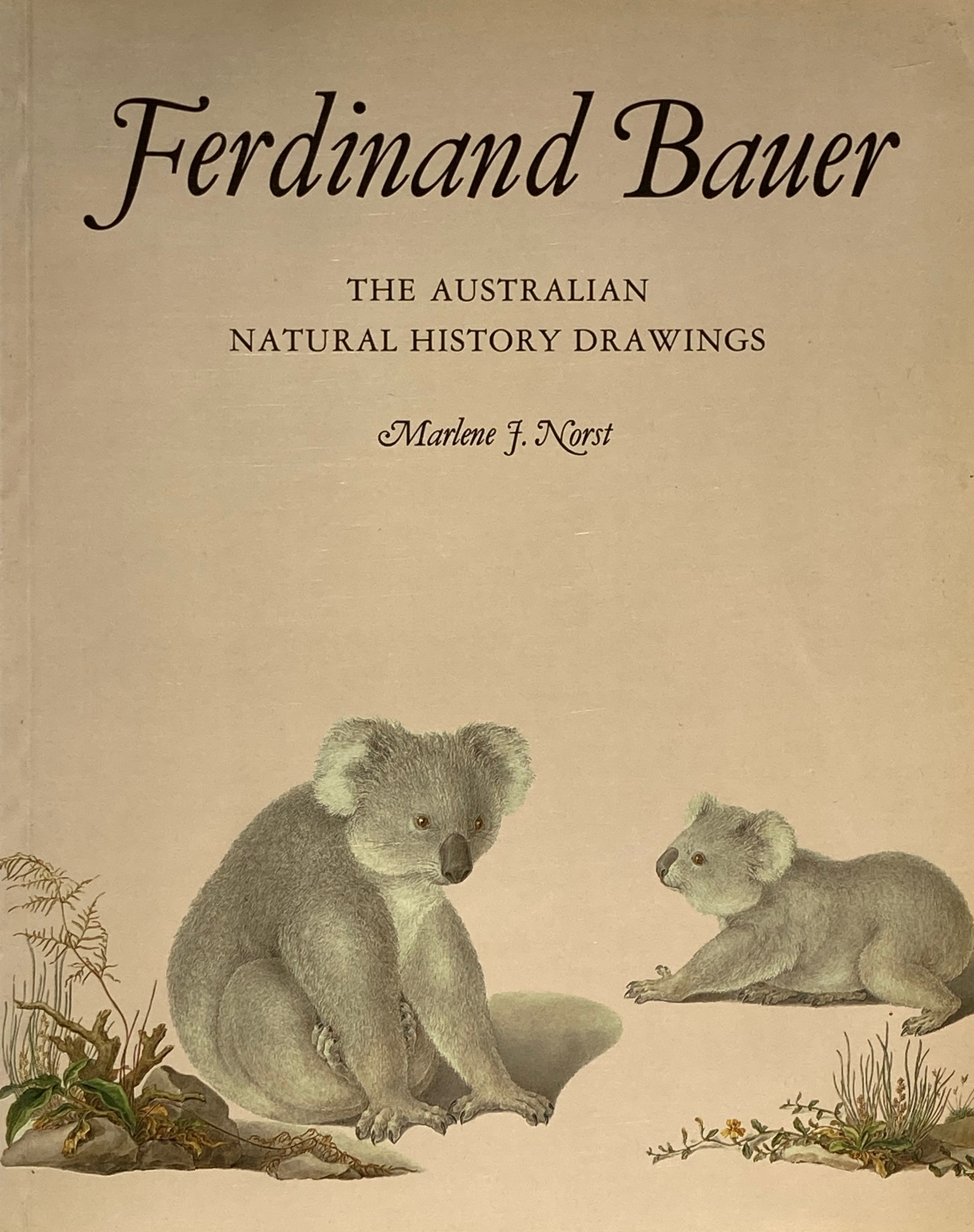 Ferdinand Bauer: the Australian natural history drawings by Norst, M.J ...