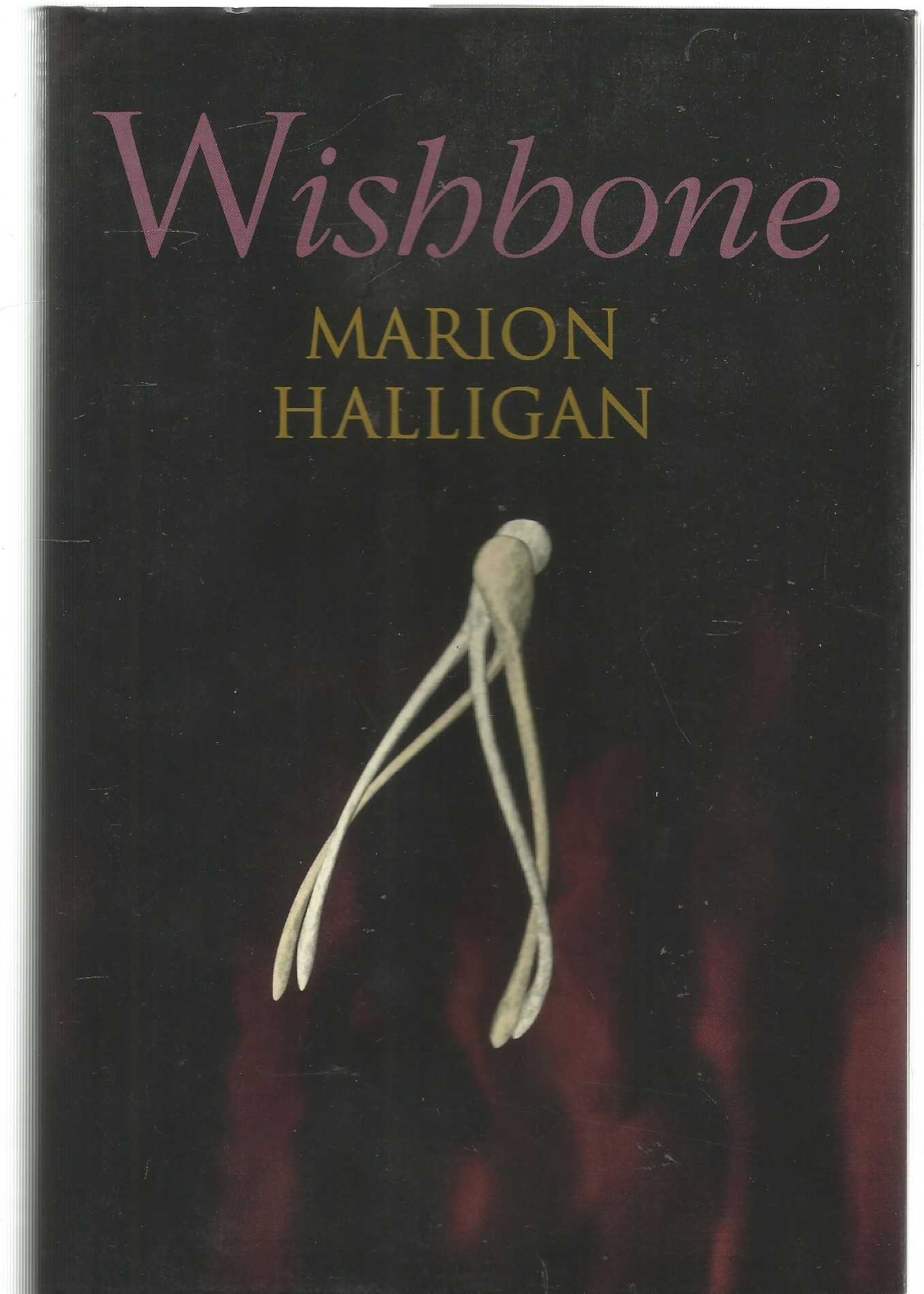 Wishbone by Marion Halligan: Very Good Hardcover (1994) First Edition ...