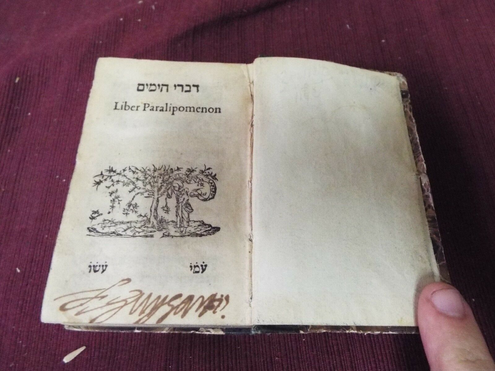 1545 Hebrew Bible (Job to Chronicles)-Robert Stephanus- printed in ...