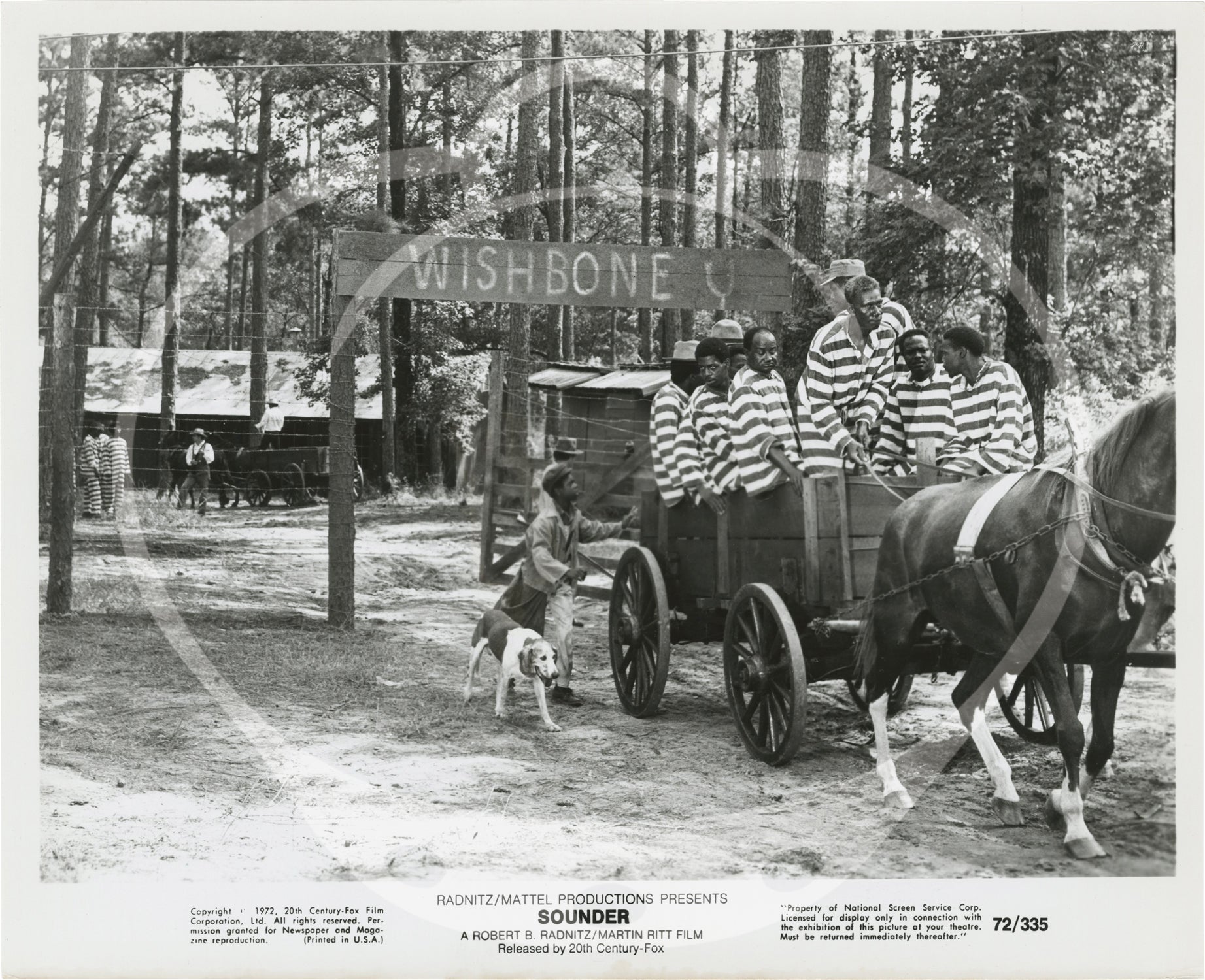 Sounder (Collection of 14 original photographs from the 1972 film) by ...