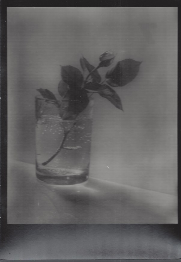 JOSEF SUDEK Profily z prace mistru ceskoslovenske fotografie /1 ...