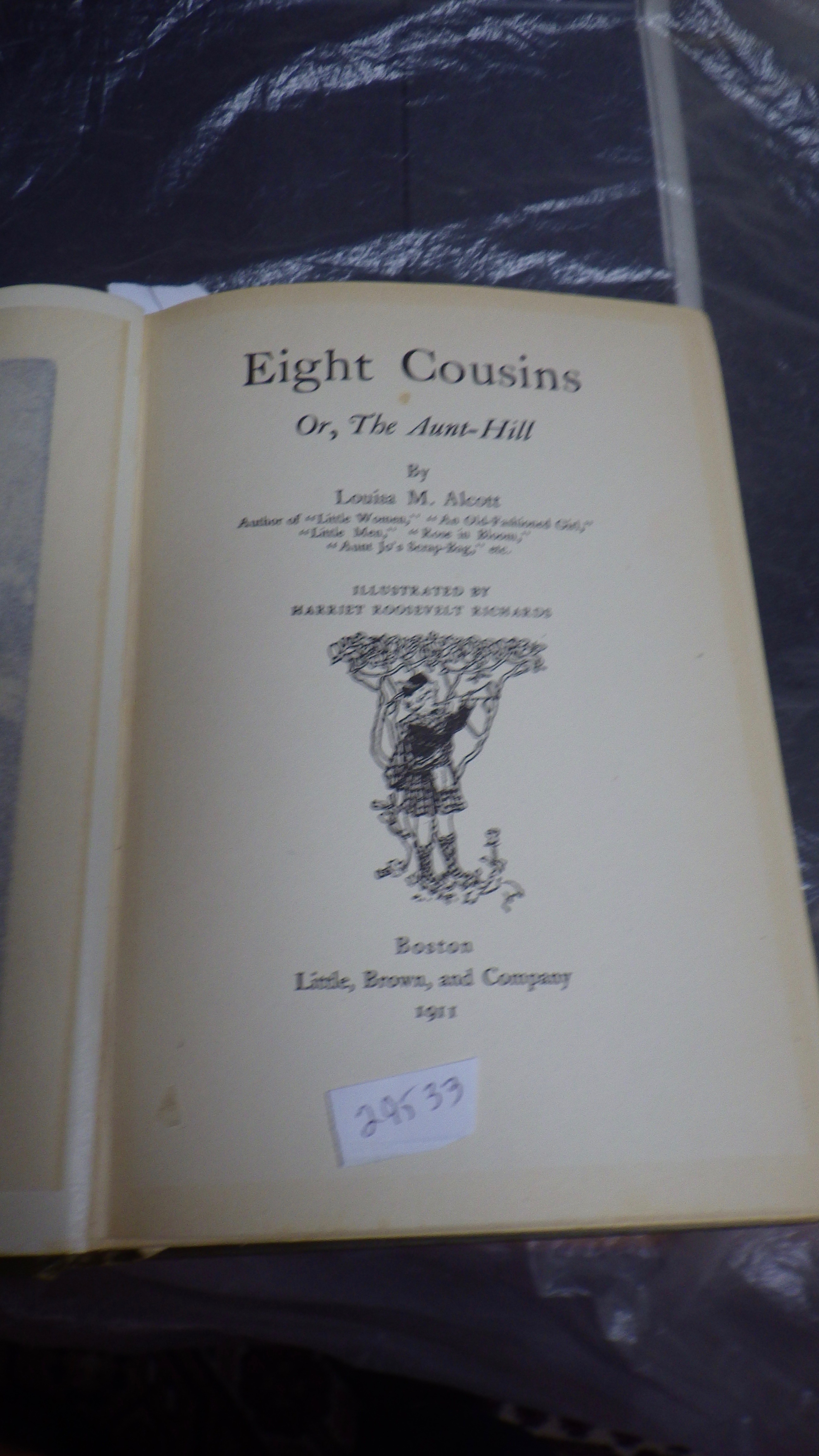 EIGHT COUSINS OR THE AUNT-HILL BY Louisa May Alcott, childrens book IN ...