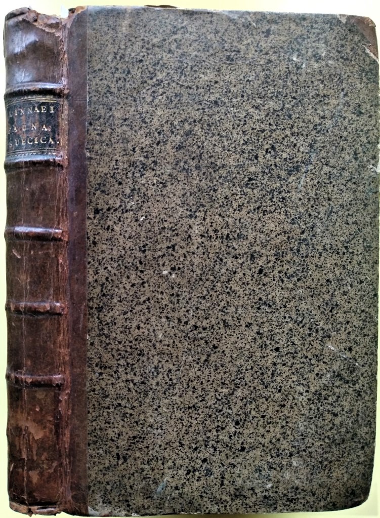 Fauna Svecica. Sistens Animalia Sveciae Regni: Quadrupedia, Aves ...