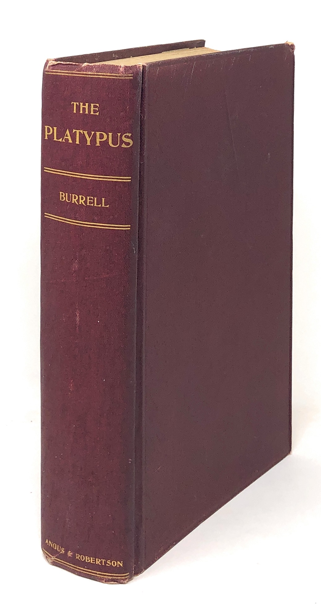 The Platypus: Its Discovery, Zoological Position, Form and ...