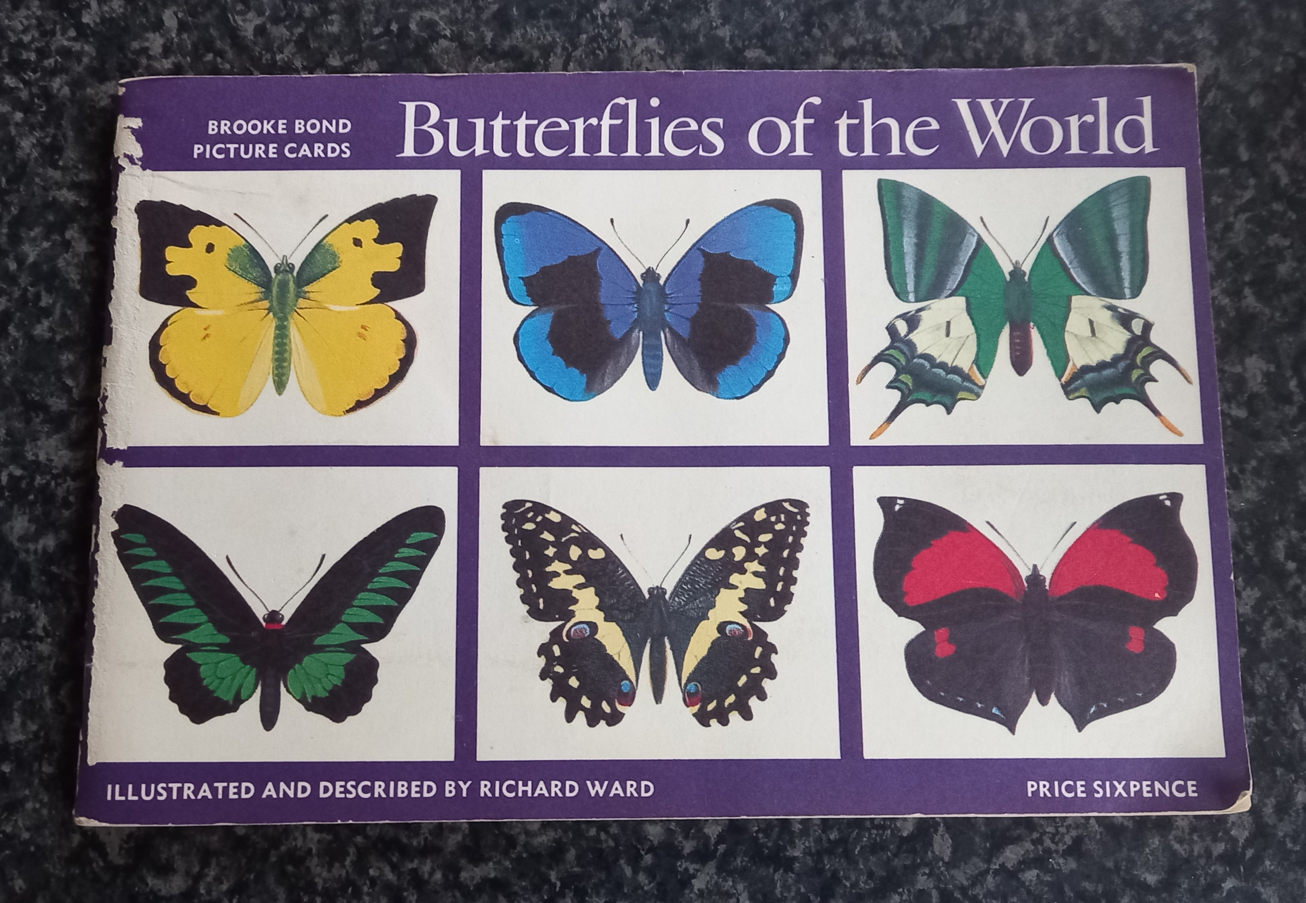 Brooke Bond Picture cards in album. Butterflies of the World: Good Soft ...