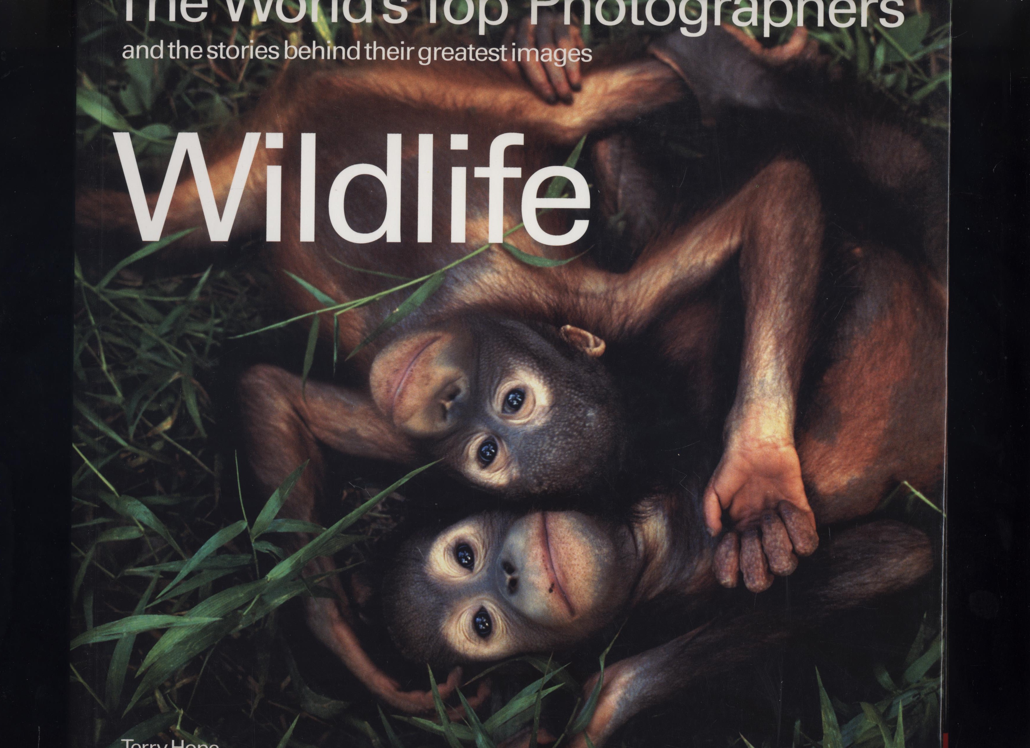 The World's Top Wildlife Photographers and the stories behind their ...