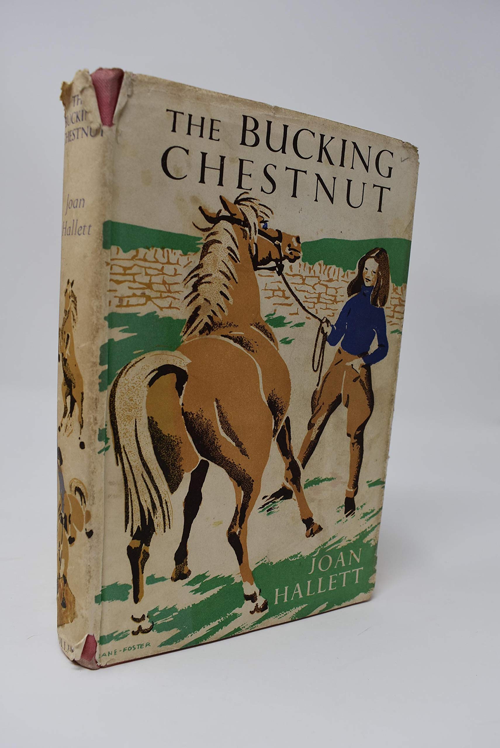 The Bucking Chestnut by Hallett, Joan: Good Hardcover (1950) 1st ...