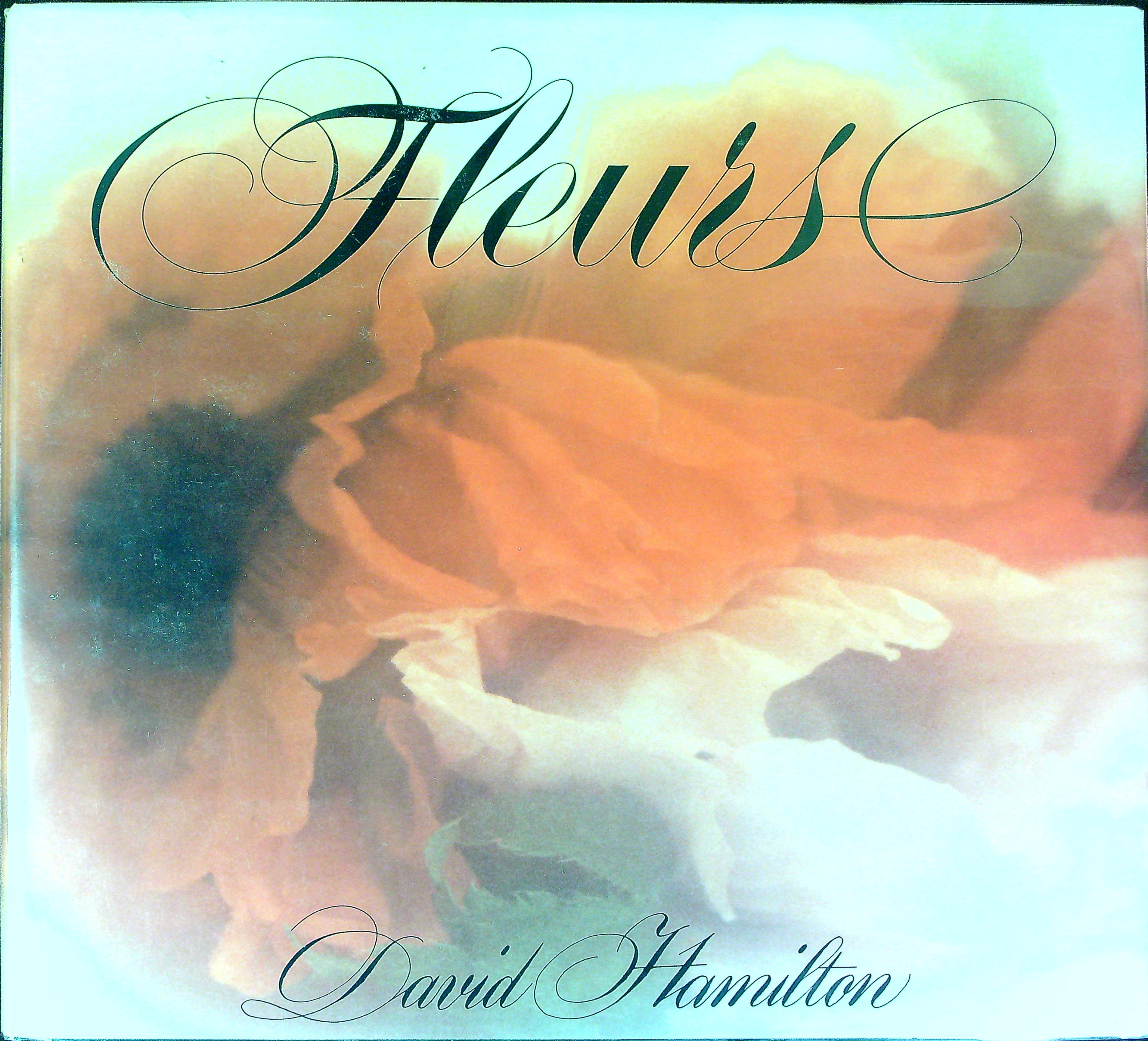 Fleurs by David Hamilton: Very Good | Wonder Book