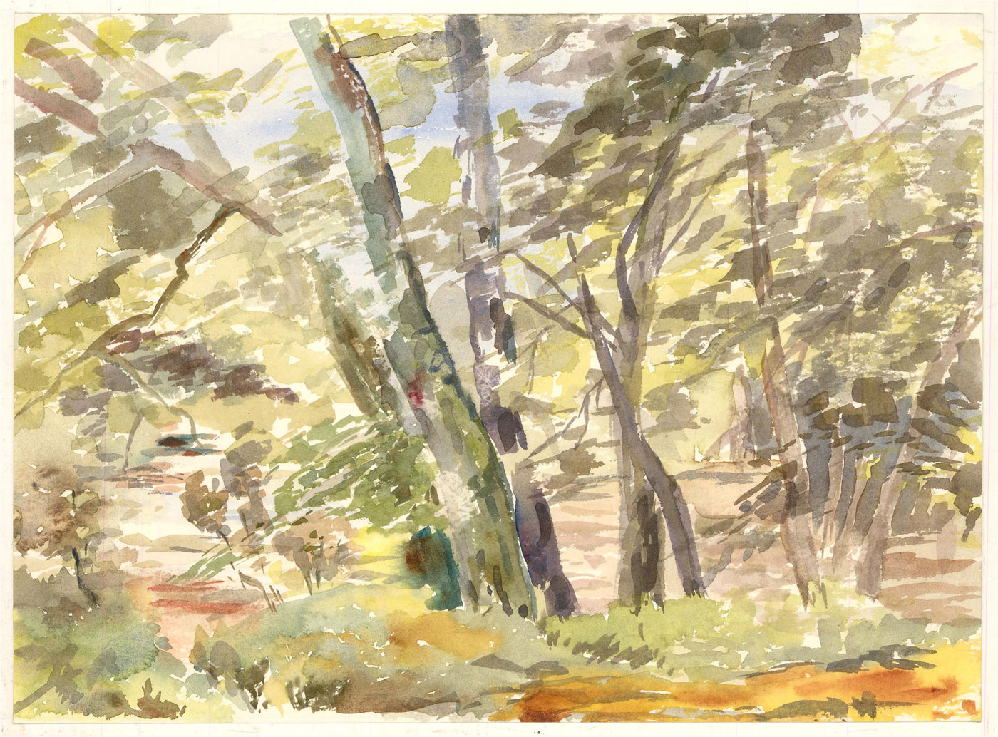 Sylvia E. Churchward-Wade - Contemporary Watercolour, Woodland Scene by ...