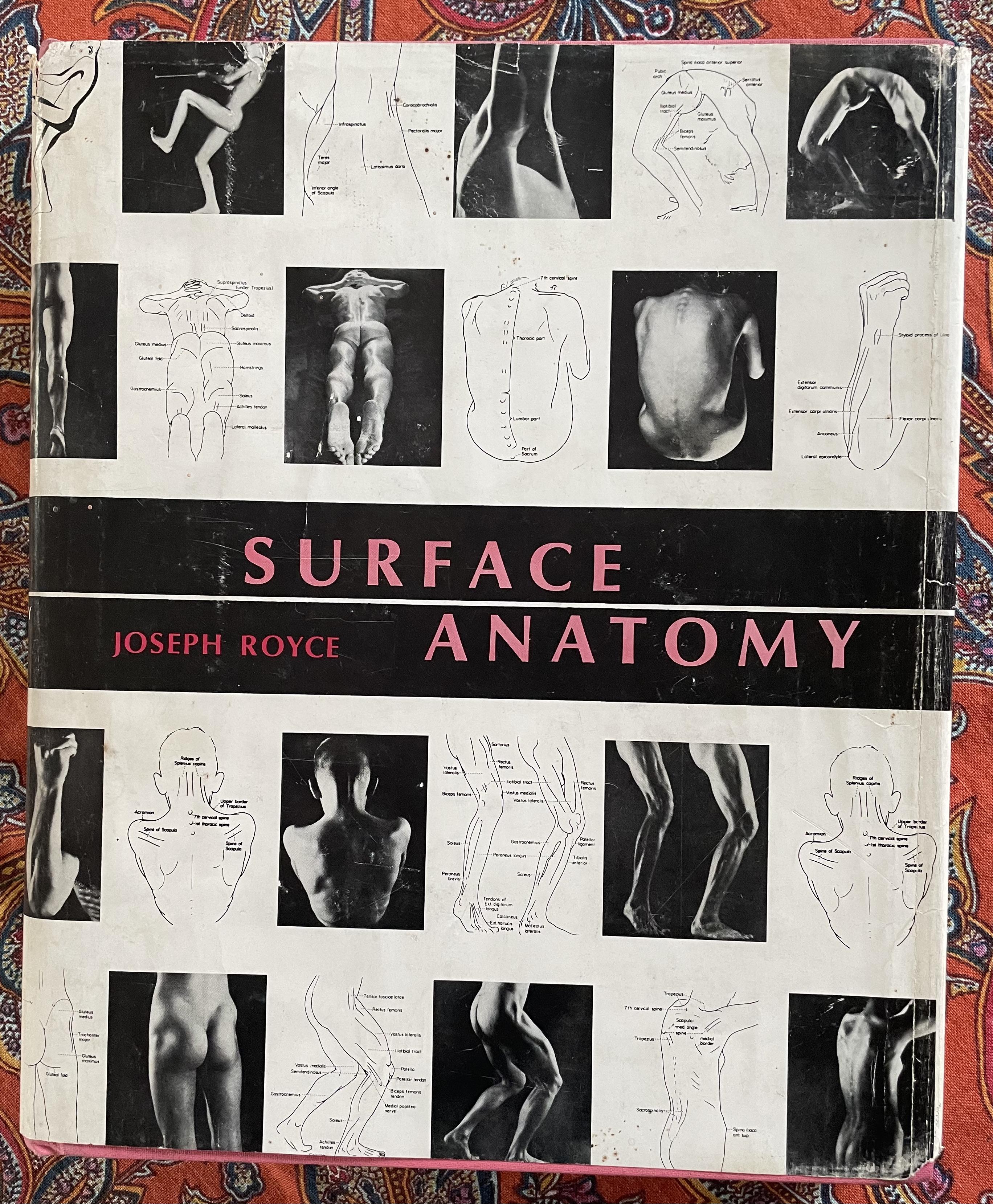 Surface Anatomy de Joseph Royce: Good Hardcover (1965) | Doodletown Farm Books