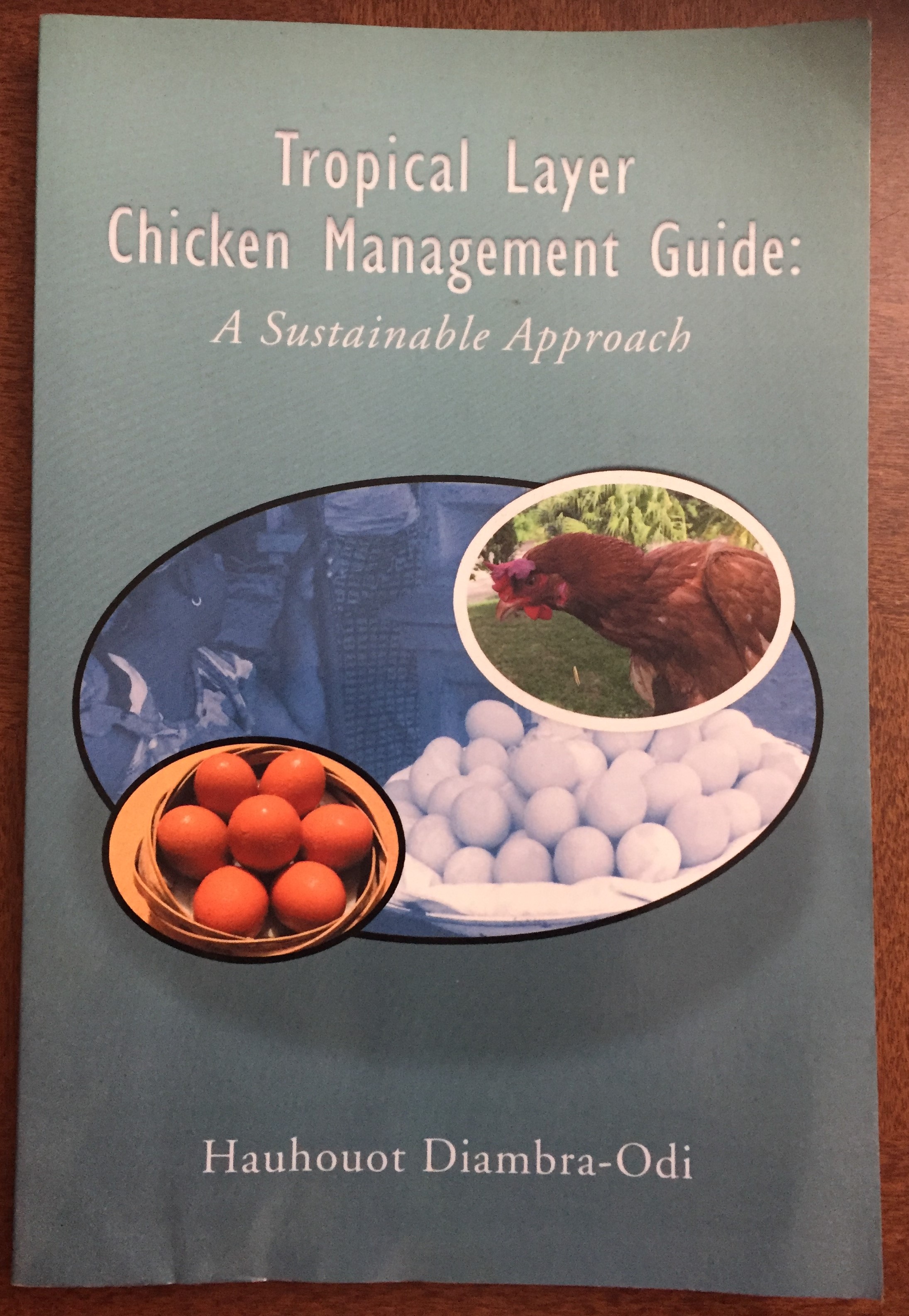 Tropical Layer Chicken Management Guide: A Sustainable Approach by ...