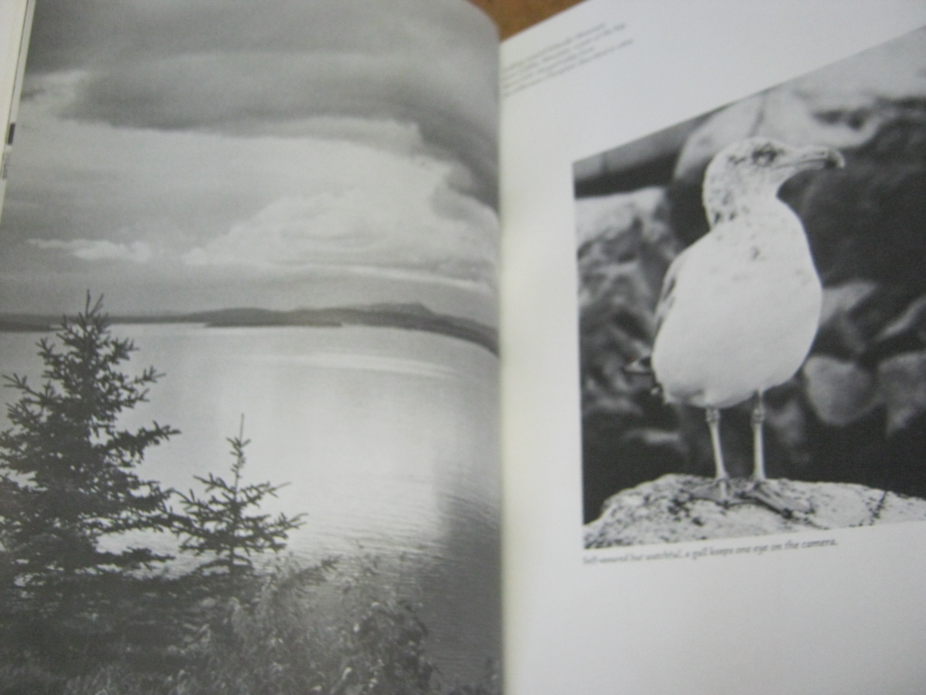 Frenchman's Bay by Text By Elizabeth Simonoff Photographs By Edgar B ...