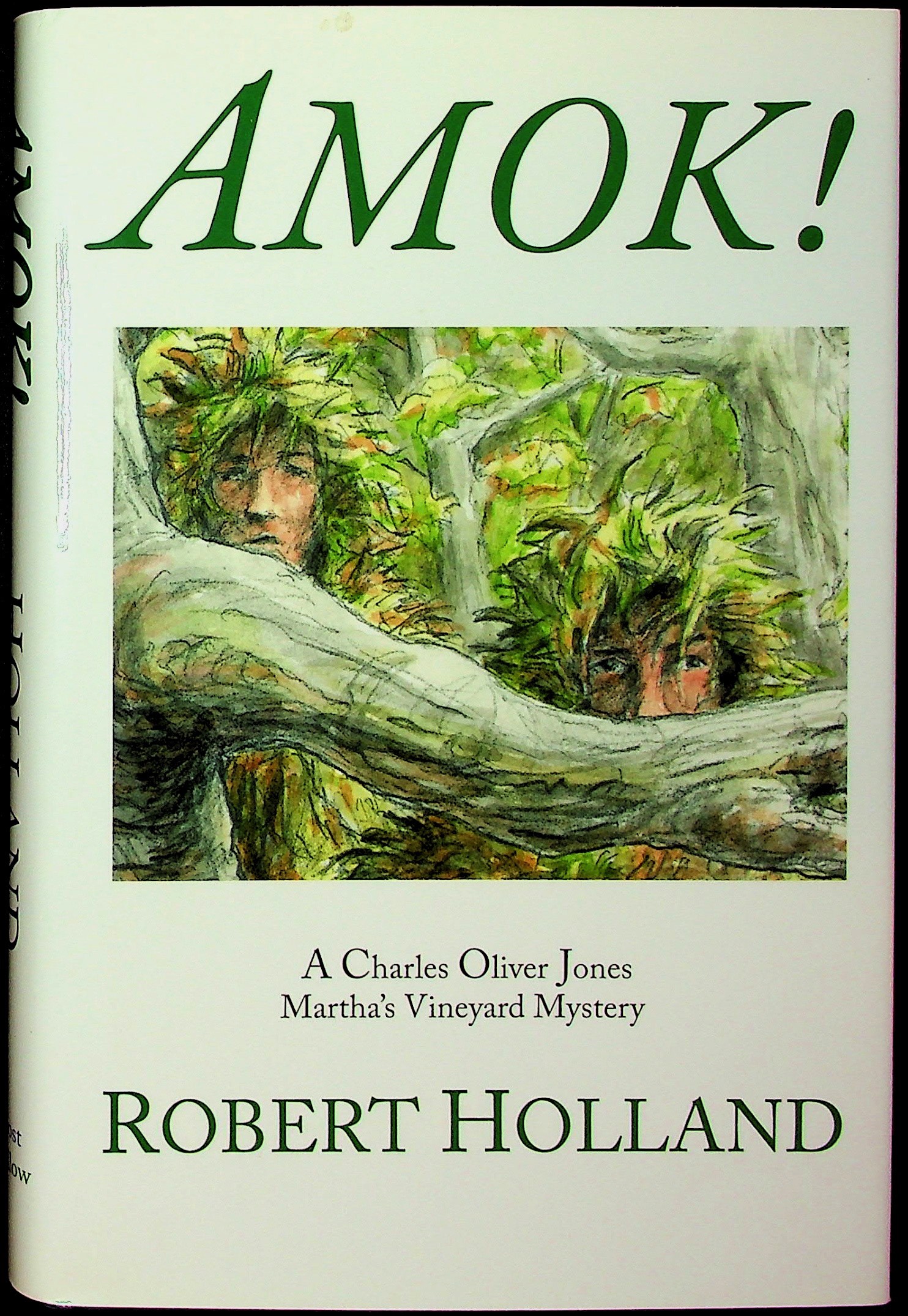 Amok! : A Charles Oliver Jones Martha's Vineyard Mystery [signed] by ...