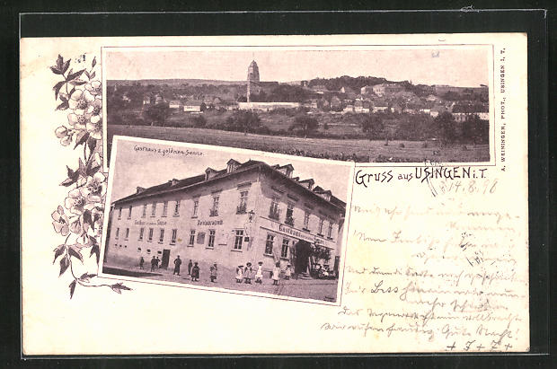 Ansichtskarte Usingen / Taunus, Gasthaus Zur goldenen Sonne, Panorama ...