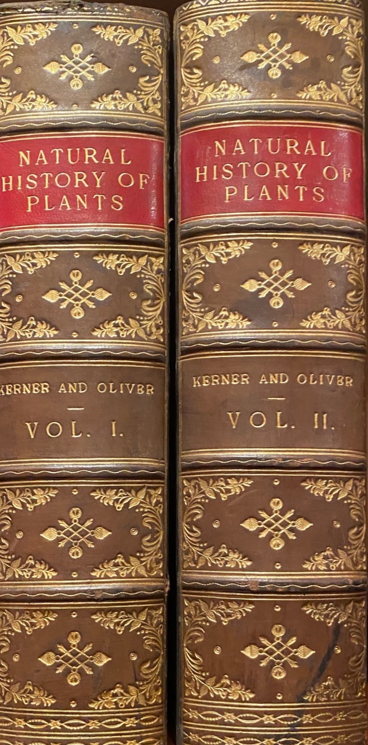 The Natural History of Plants. Their Forms, Growth, Reproduction, and ...