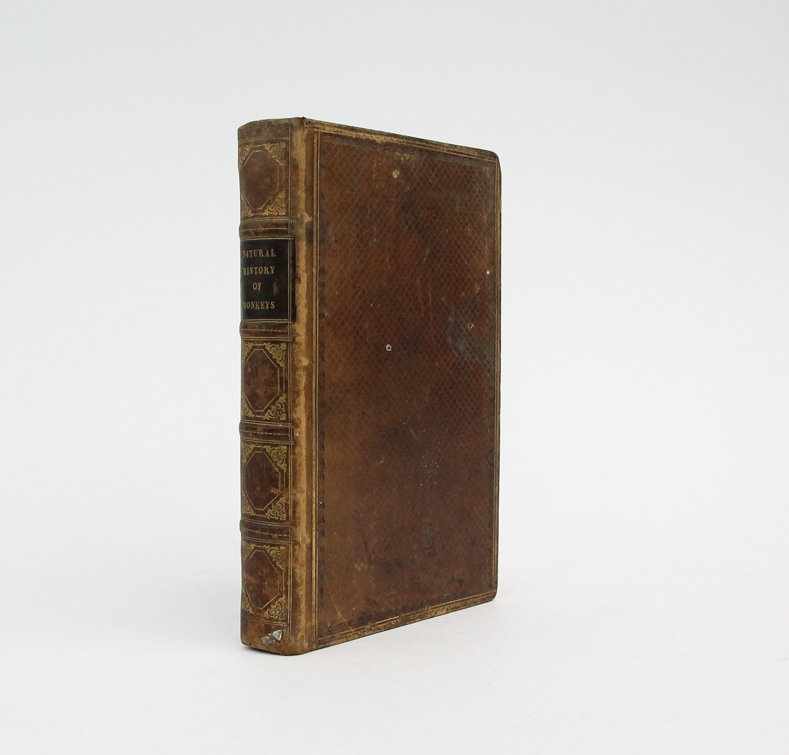 THE NATURAL HISTORY OF MONKEYS von JARDINE, Sir William: (1833 ...