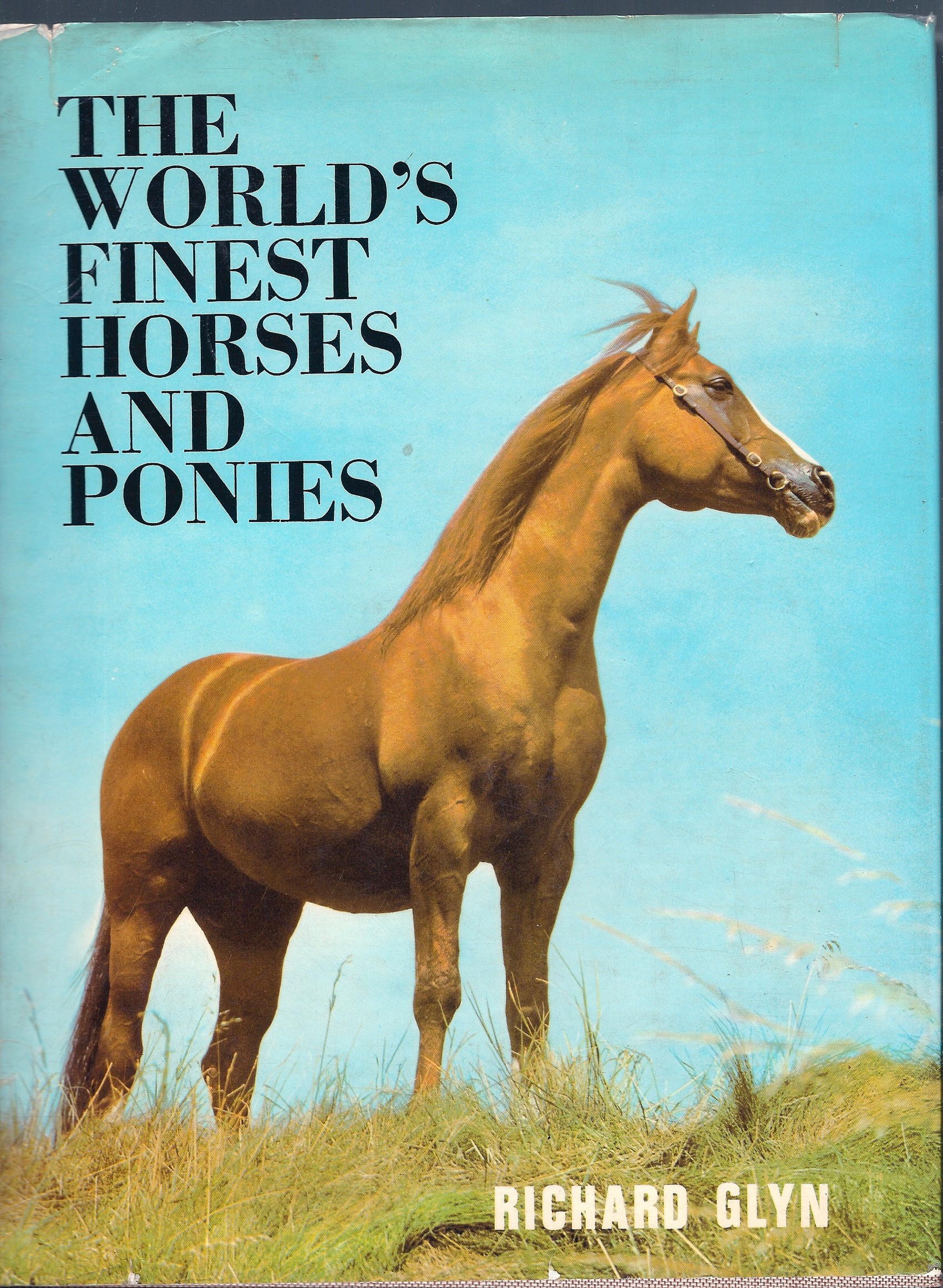 The WORLD S FINEST HORSES & PONIES, First US Edition HC w/DJ by Glyn ...