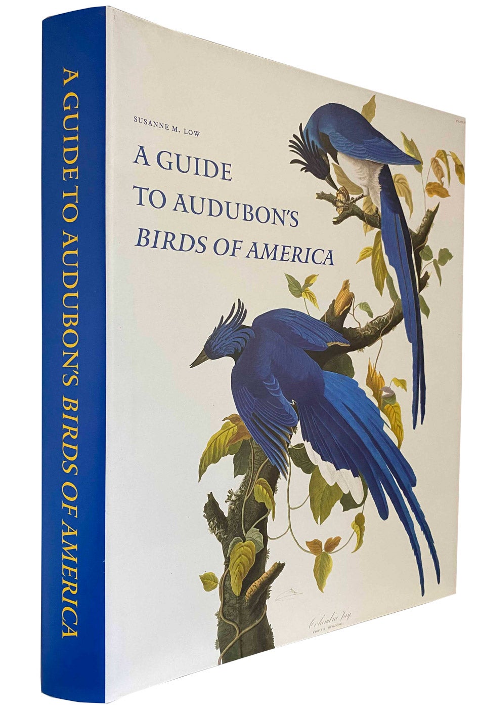 A GUIDE TO AUDUBON'S Birds of America by LOW, Susanne M.: Hardcover | J ...