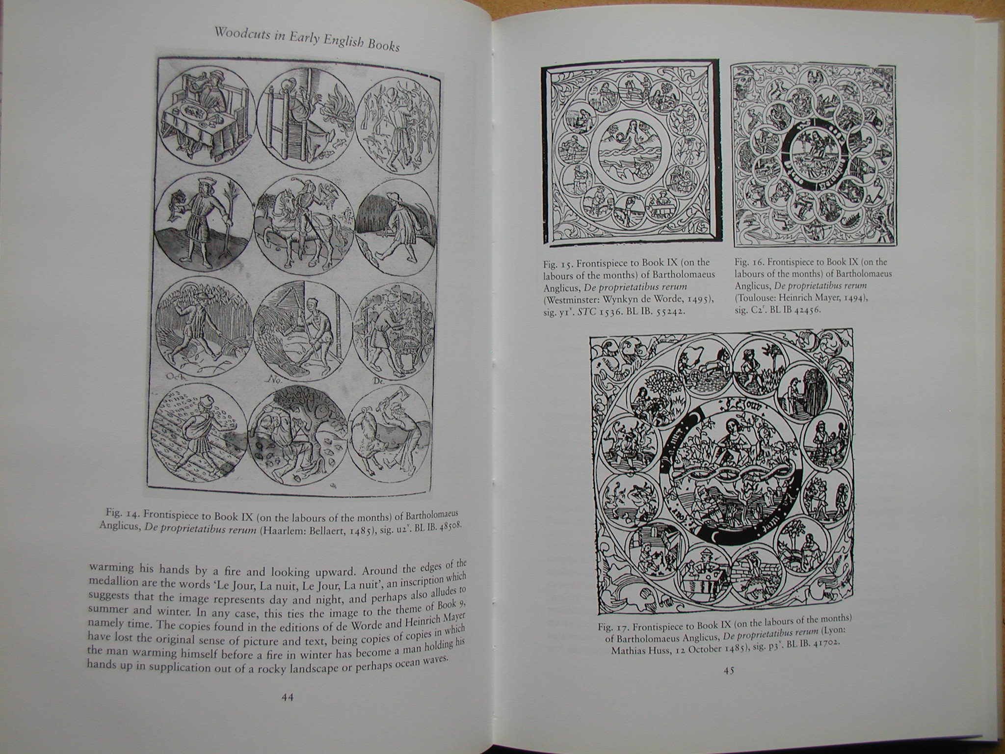 The Image in Print: Book Illustrations in Late Medieval England and Its ...