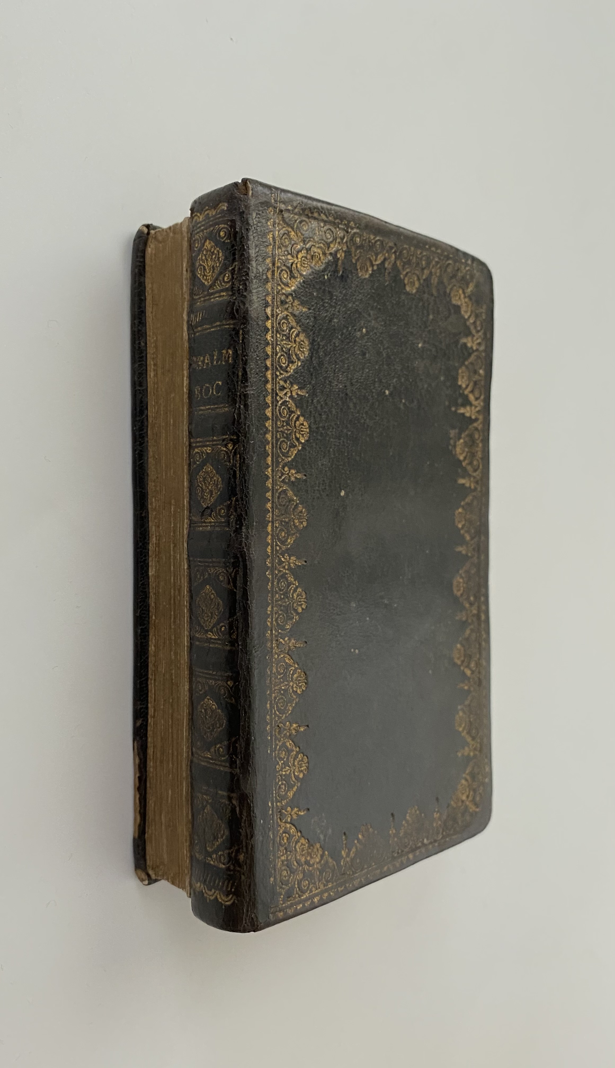 Psalms and The New Testament, Dos-a-dos binding, Den Forordnede Kirke ...