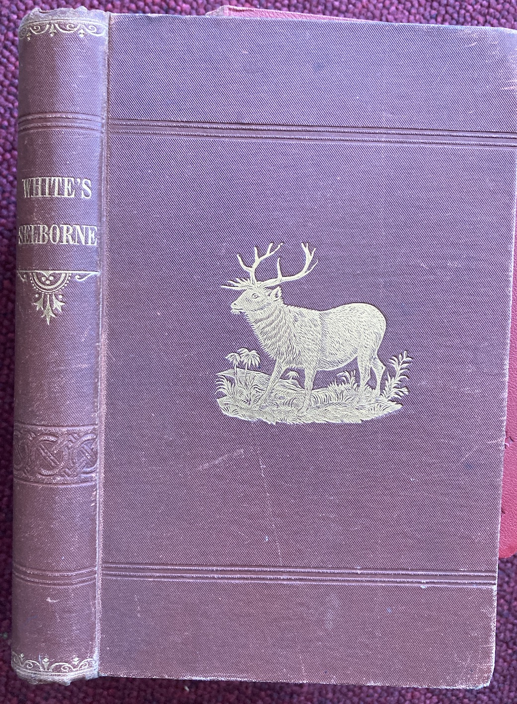 THE NATURAL HISTORY OF SELBORNE. ARRANGED FOR YOUNG PERSONS. von Rev ...