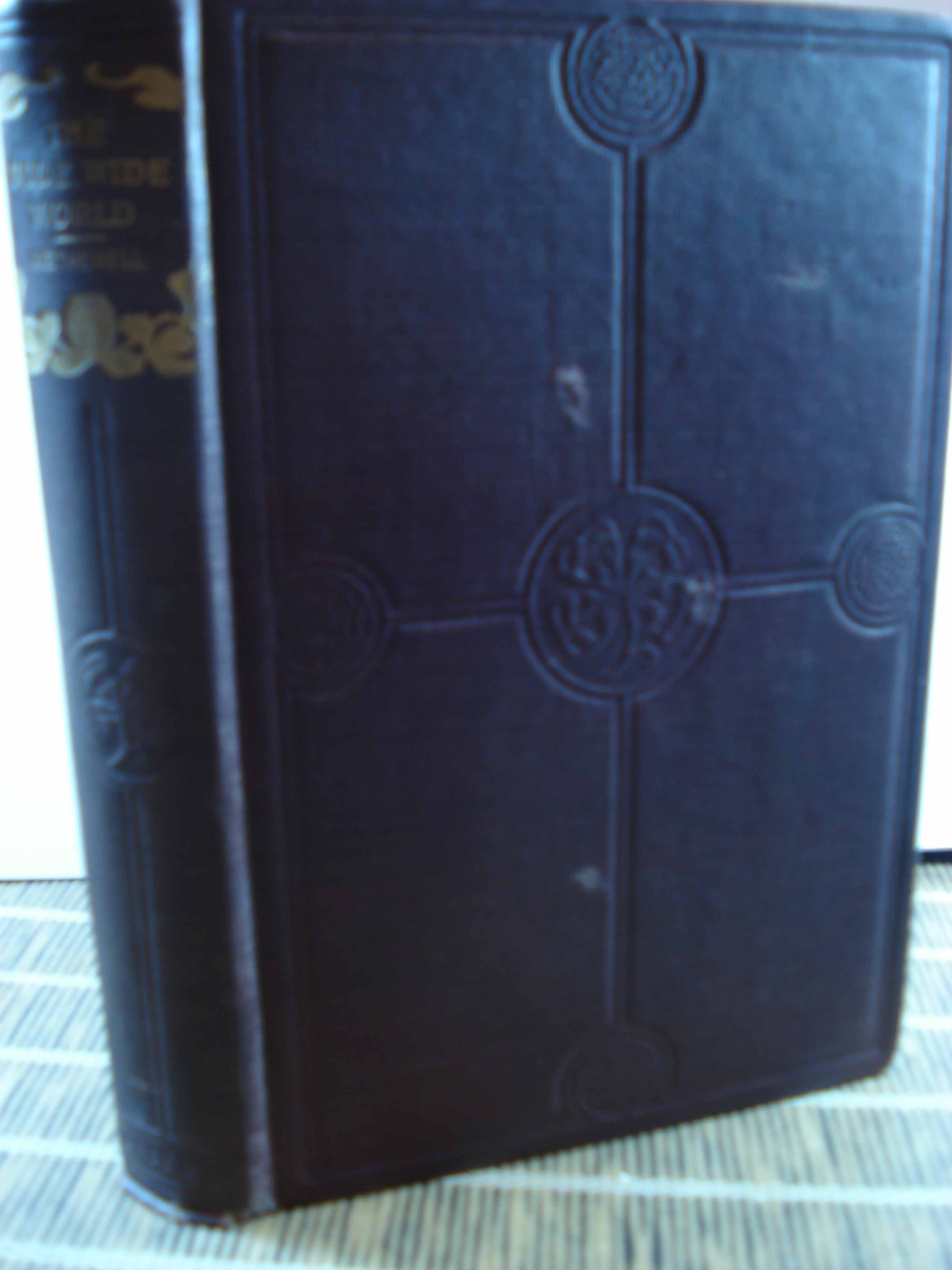 The Wide, Wide World by Wetherell, Elizabeth (Susan Warner): Good ...