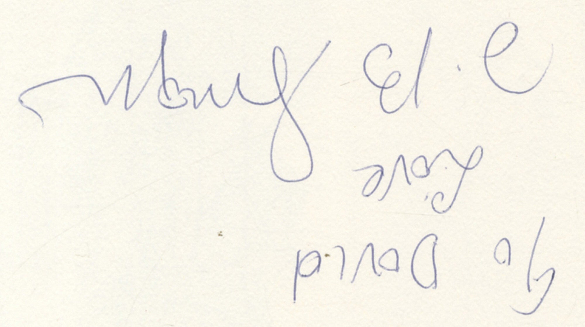 Joseph and Koza or The Sacrifice to the Vistula par SINGER, Isaac ...