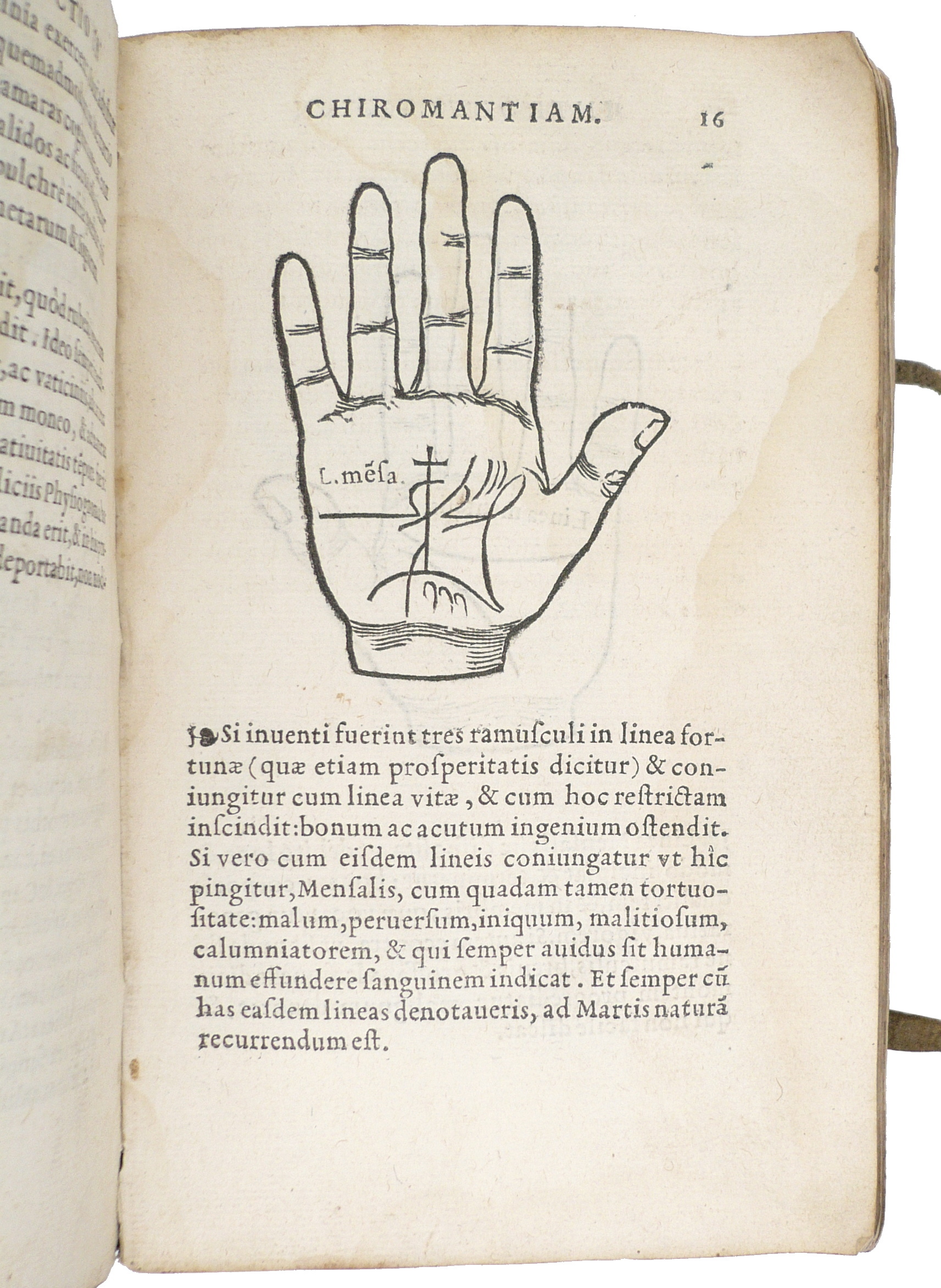 [Chiromantia 1. Physionomia, ex aspectu membrorum hominis. 2 ...