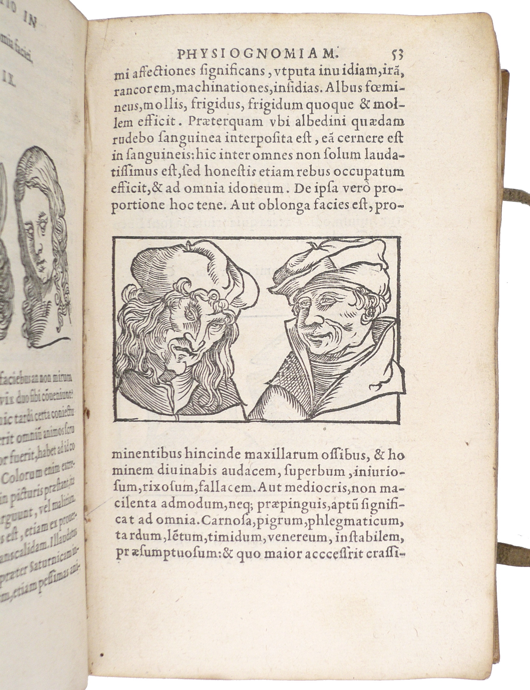 [Chiromantia 1. Physionomia, ex aspectu membrorum hominis. 2 ...