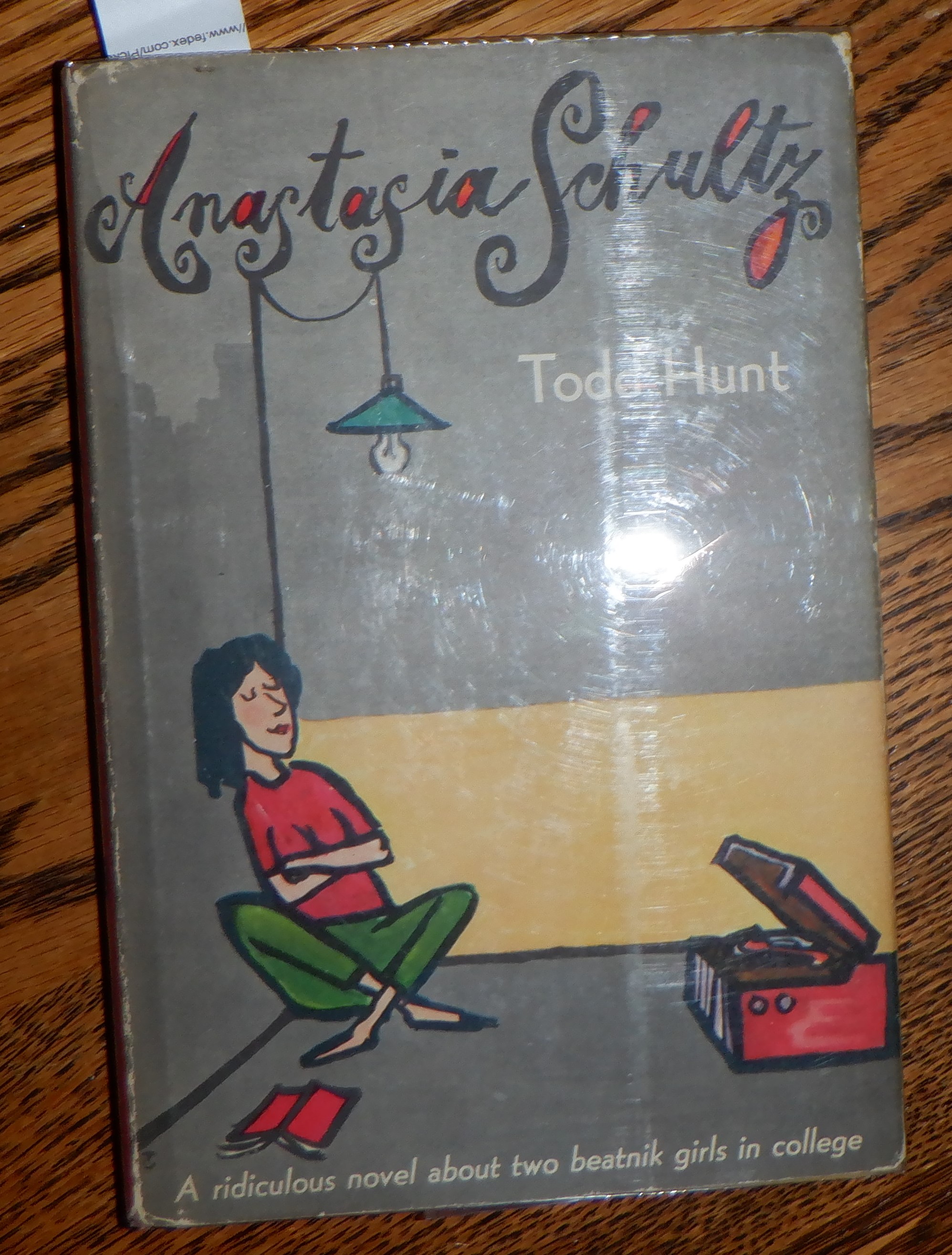 Anastasia Schultz by Hunt, Todd: Very Good Hardcover (1969) 1st Edition | Route 3 Books
